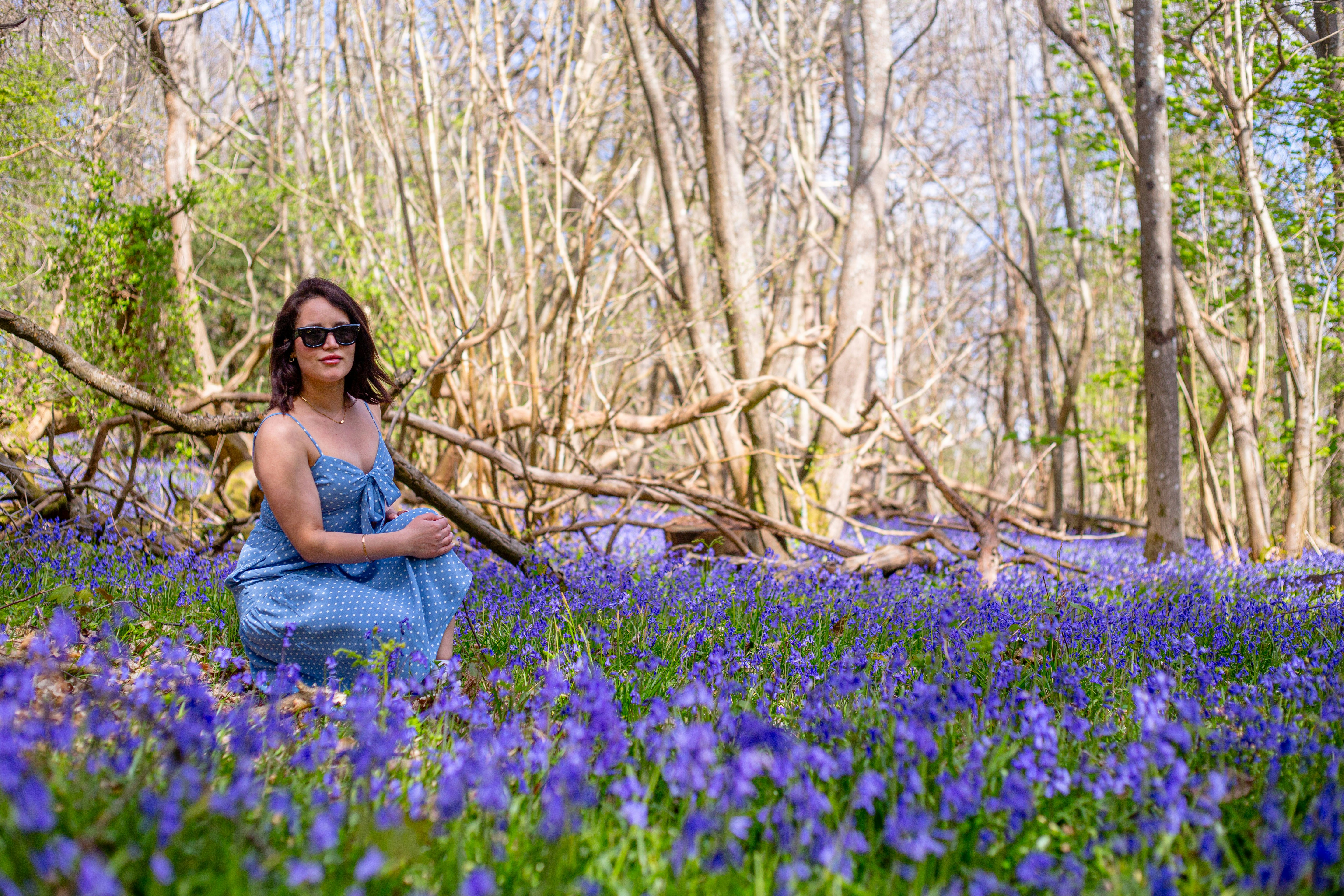 Bluebell Dusk: a Portrait in a Sea of Violet