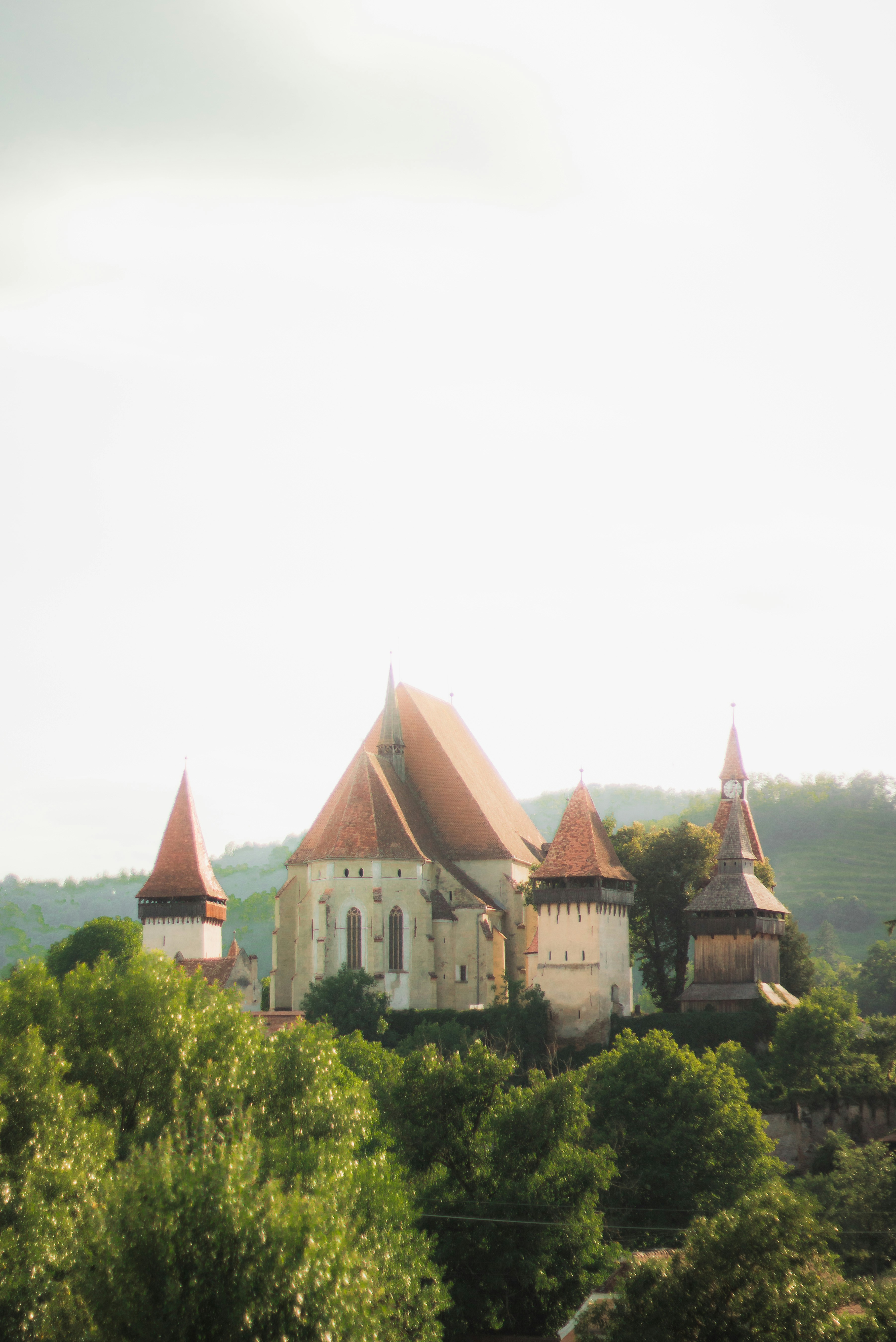 Fortified silhouette: medieval towers rise above a green canopy