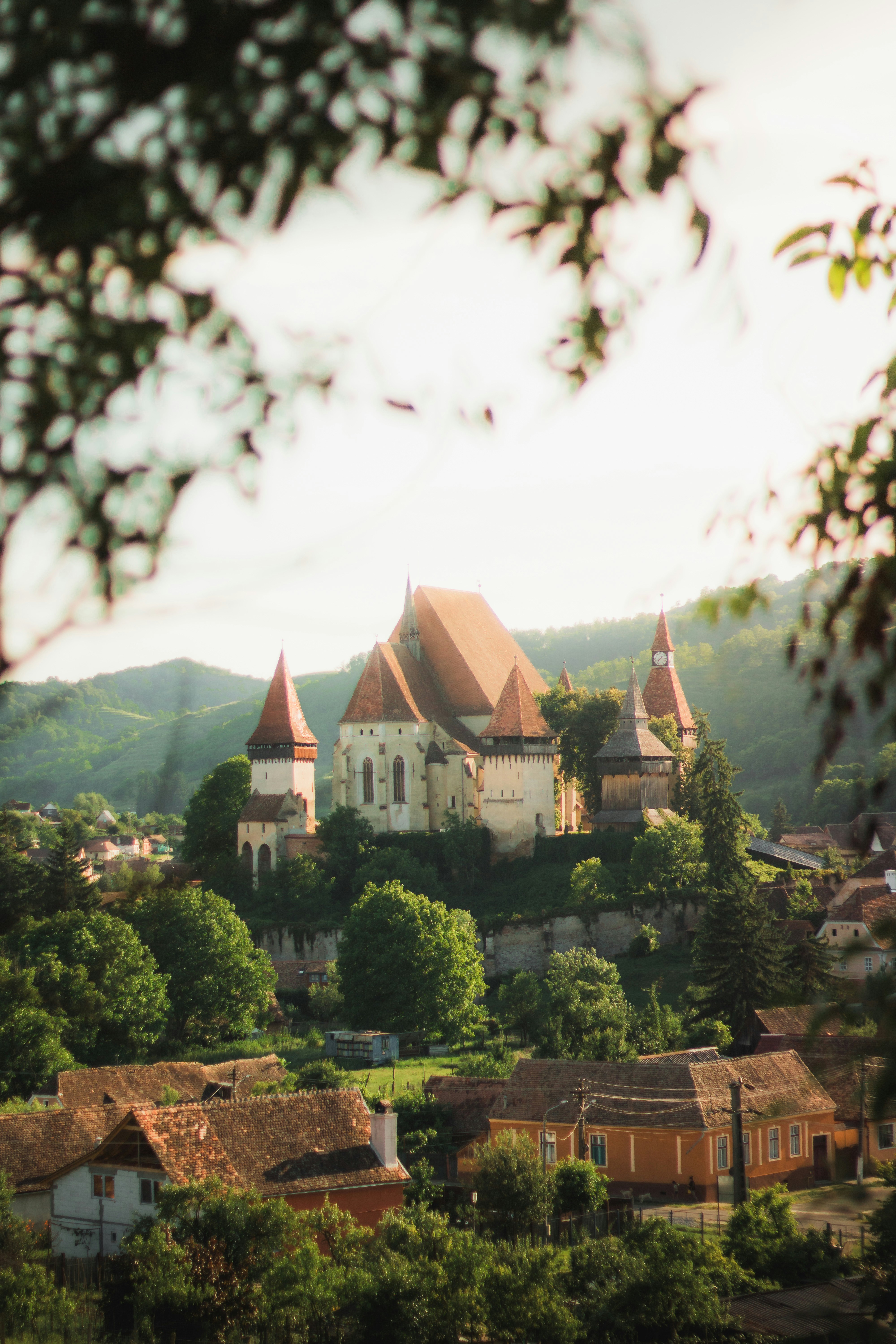Fortress on the Hill: A Sunlit Village Framed by Leaves