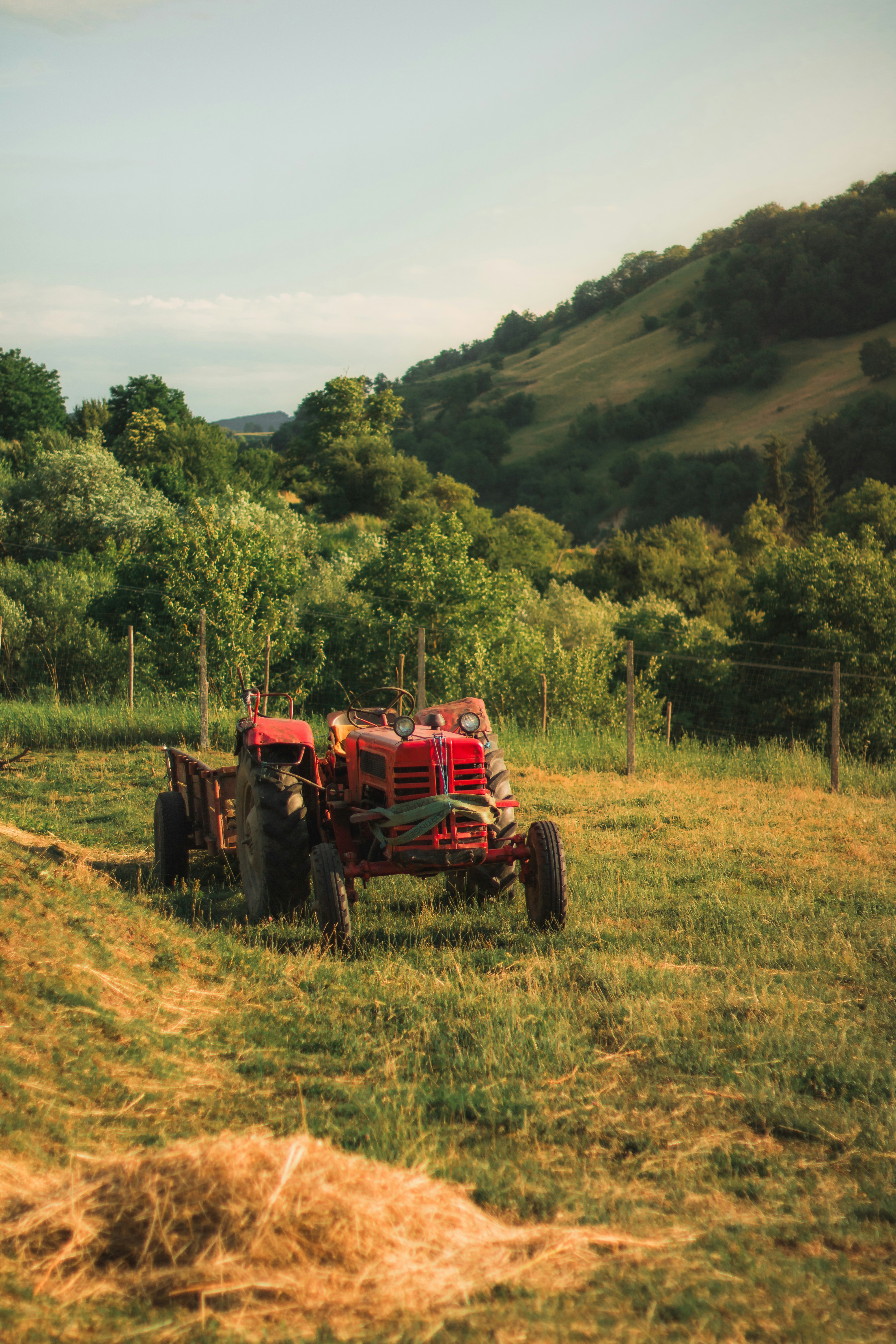 Red Tractor in a Sunlit Valley