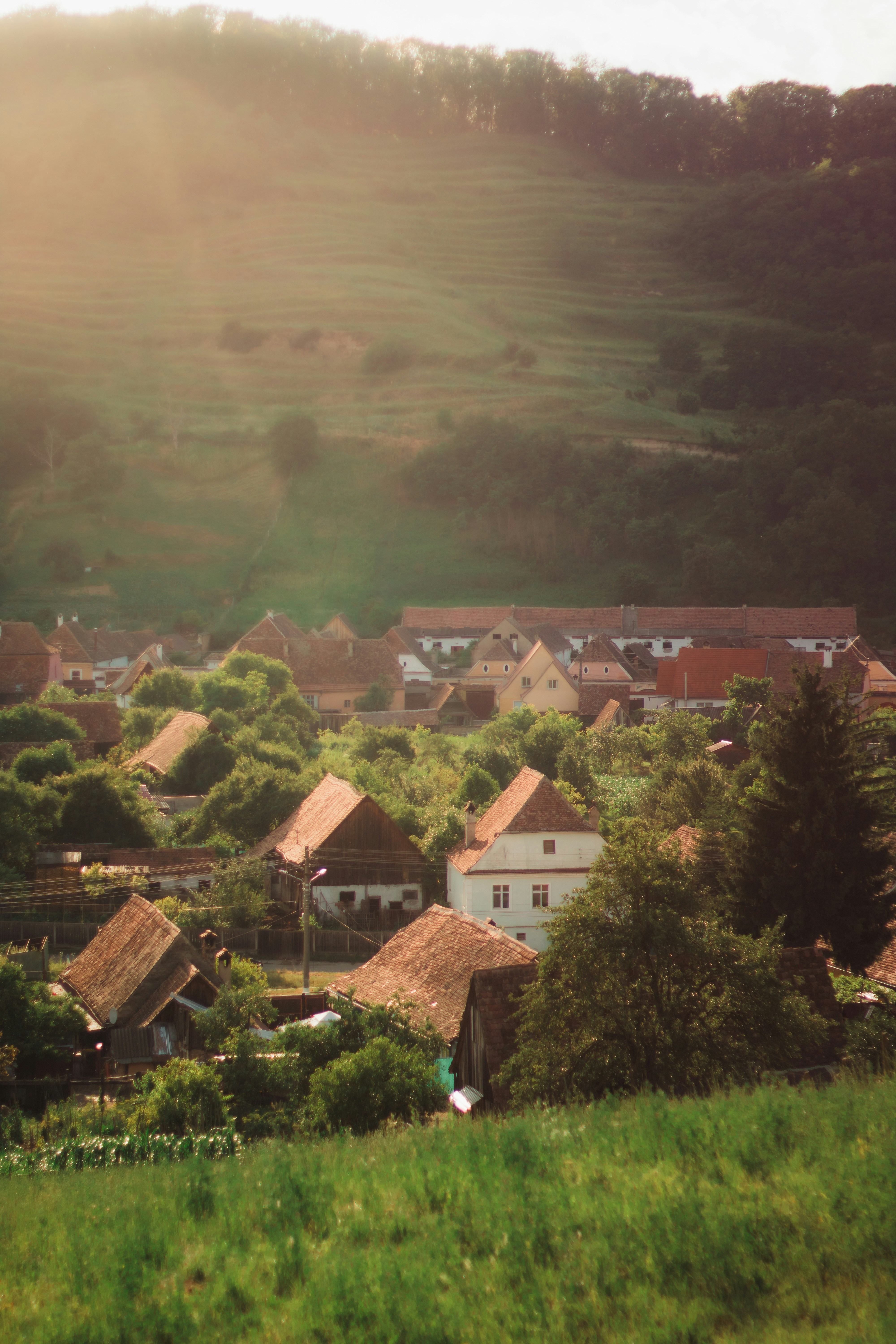 Sunlit Hilltop Village Amid Green Slopes