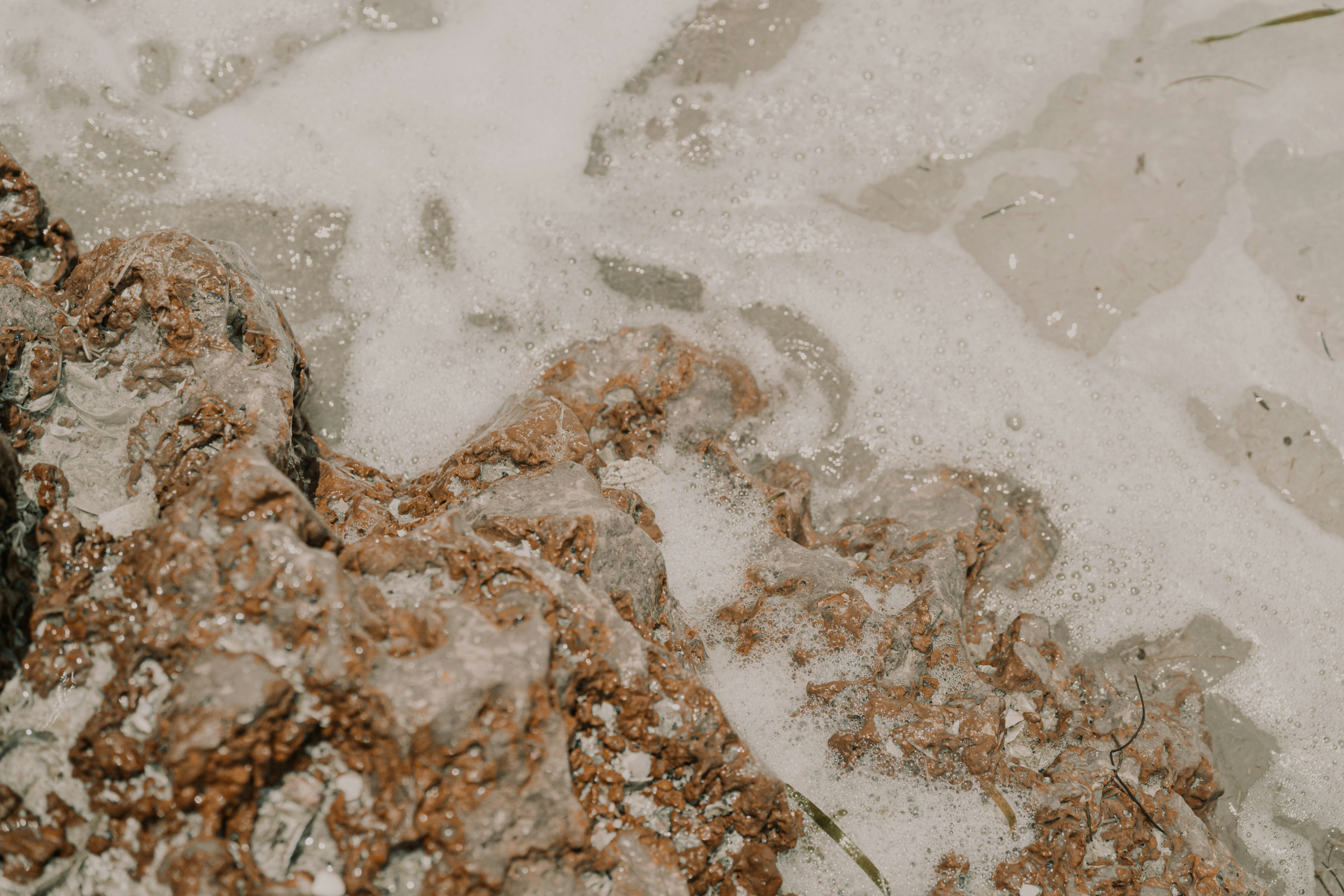 Rugged shoreline in sunlight: stone textures meeting foaming tide