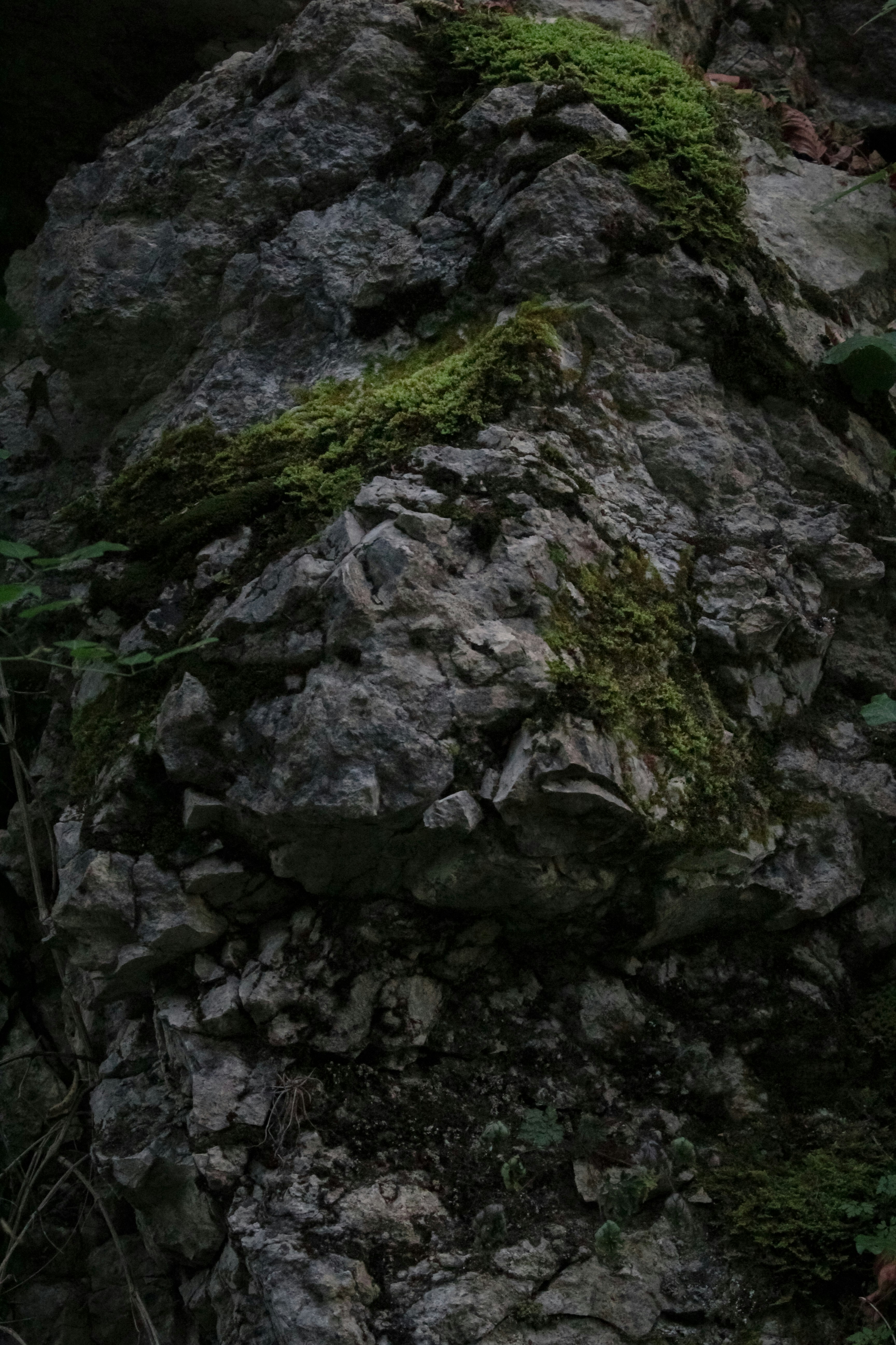 Moss-Capped Rock Face: Quiet Texture of Stone and Green
