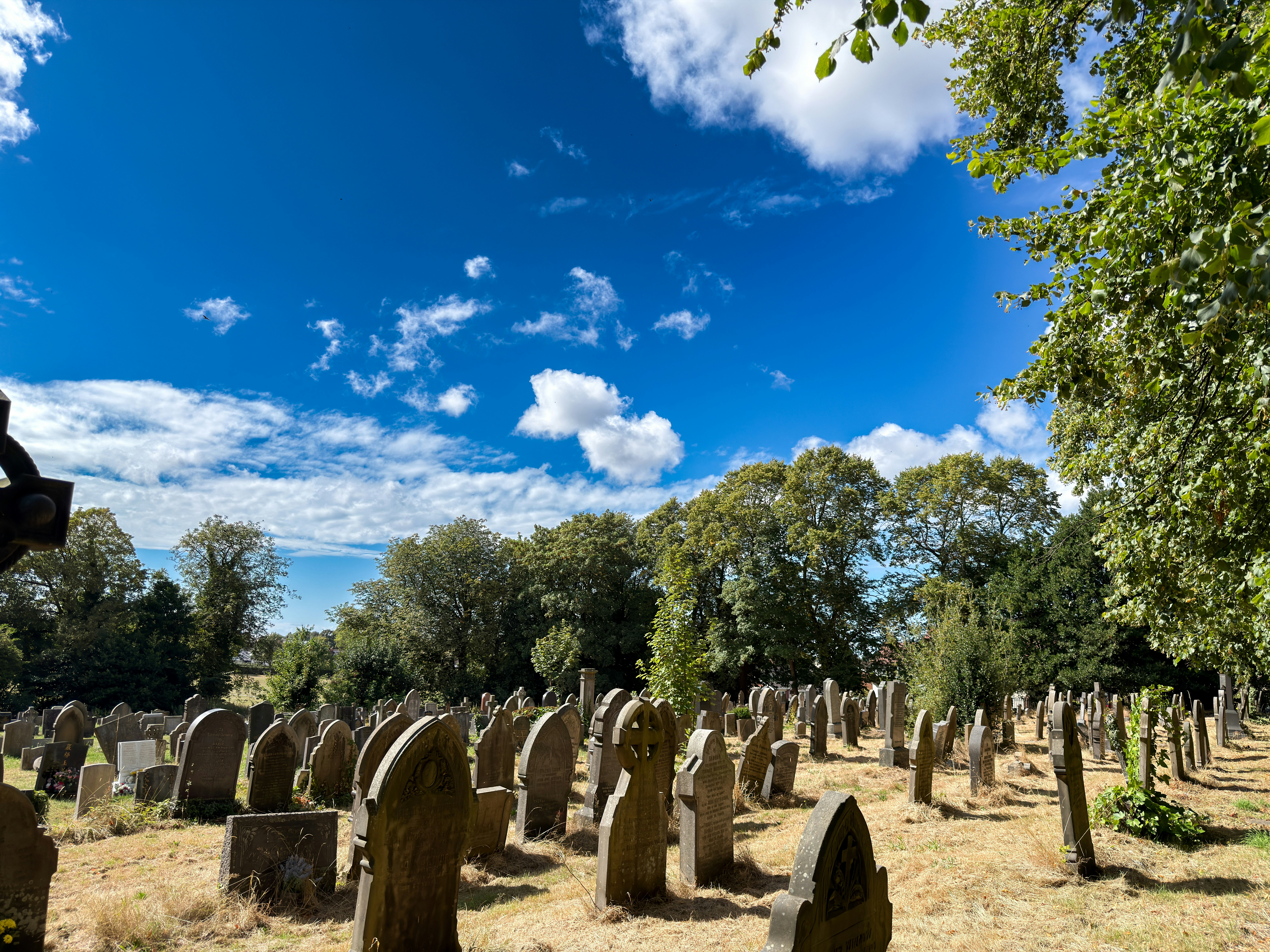 Rows of weathered headstones under a bright summer sky