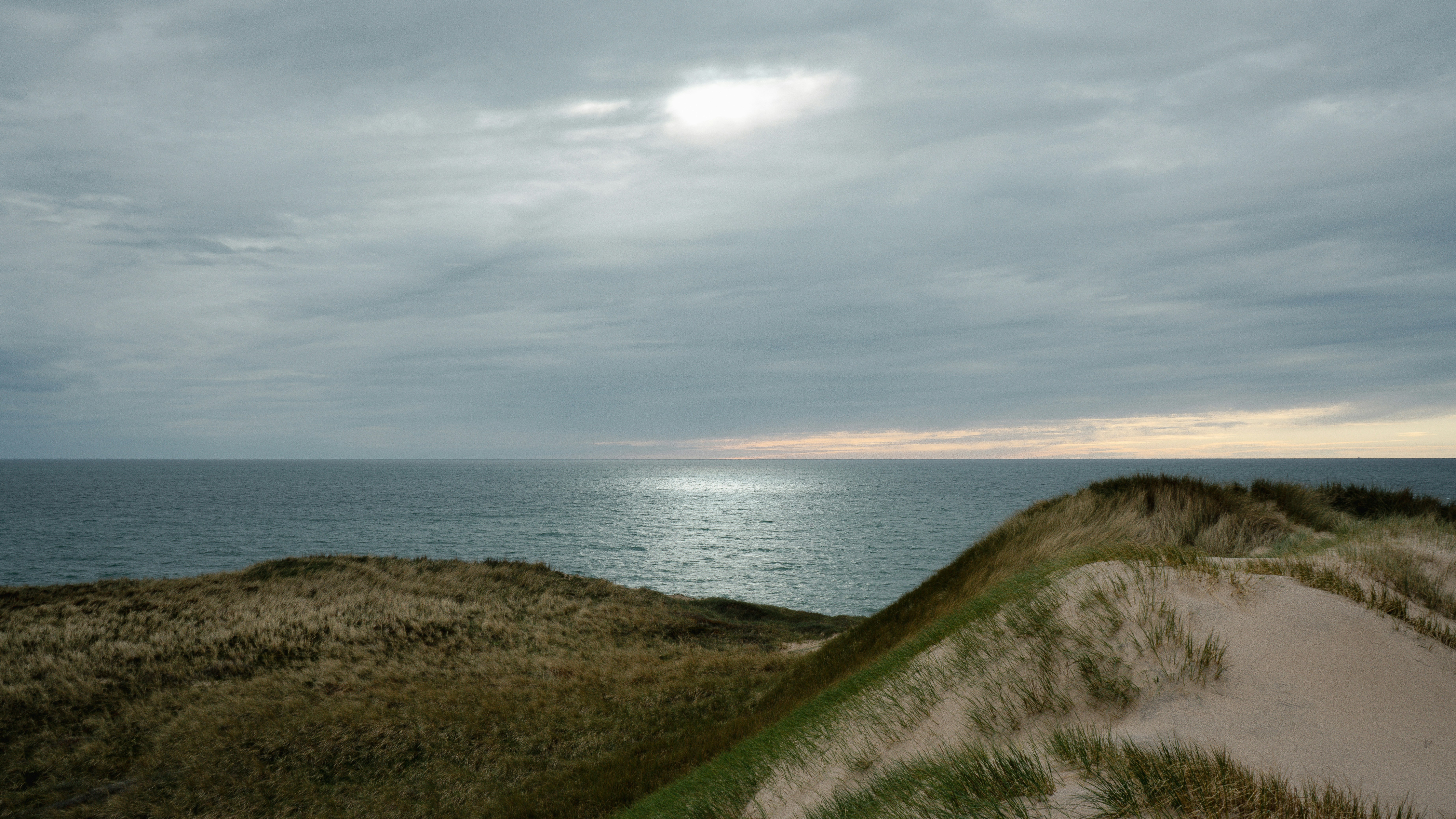 Dune Ridge Overlooking a Quiet Ocean