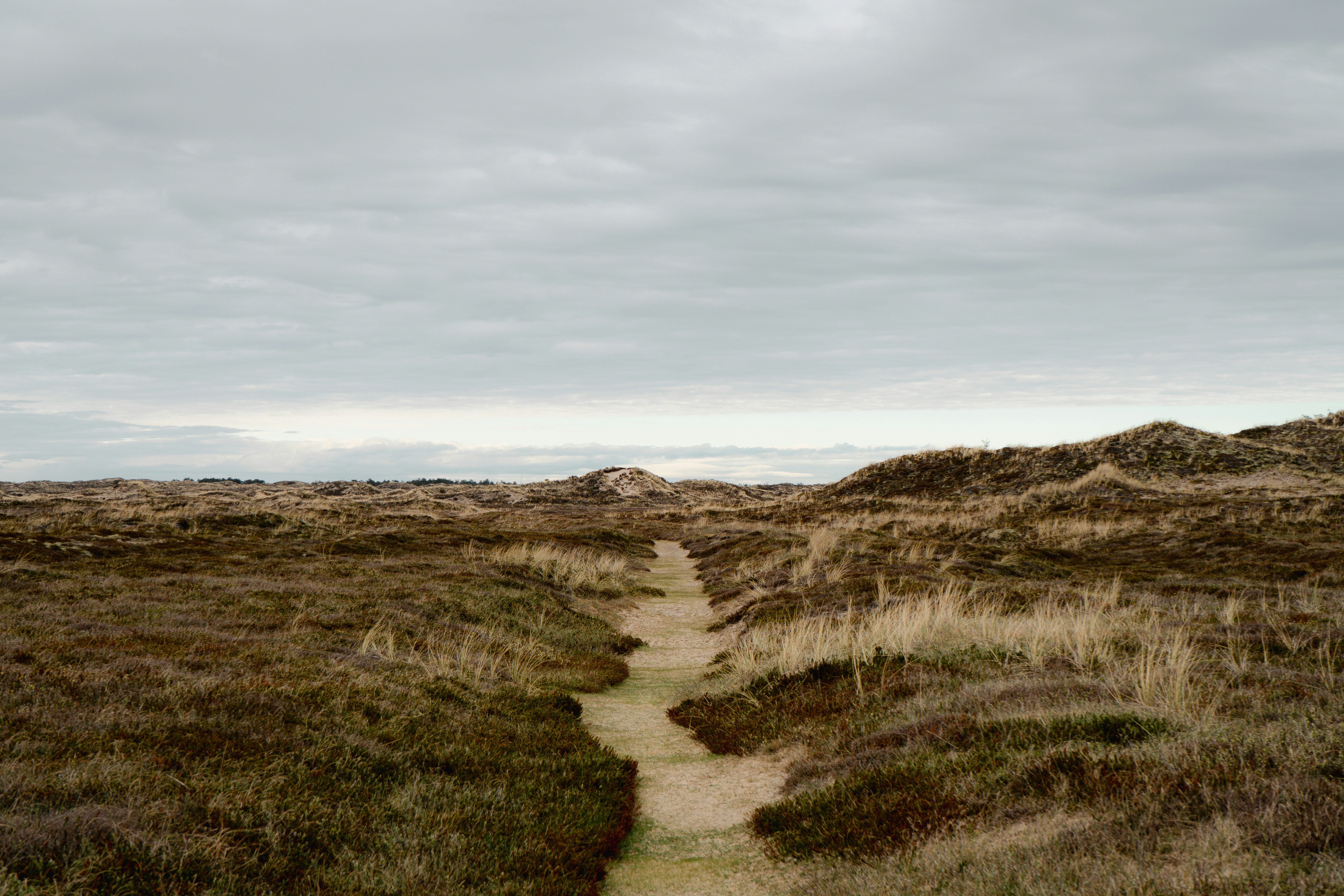 Path Through the Dunes Toward a Distant Horizon