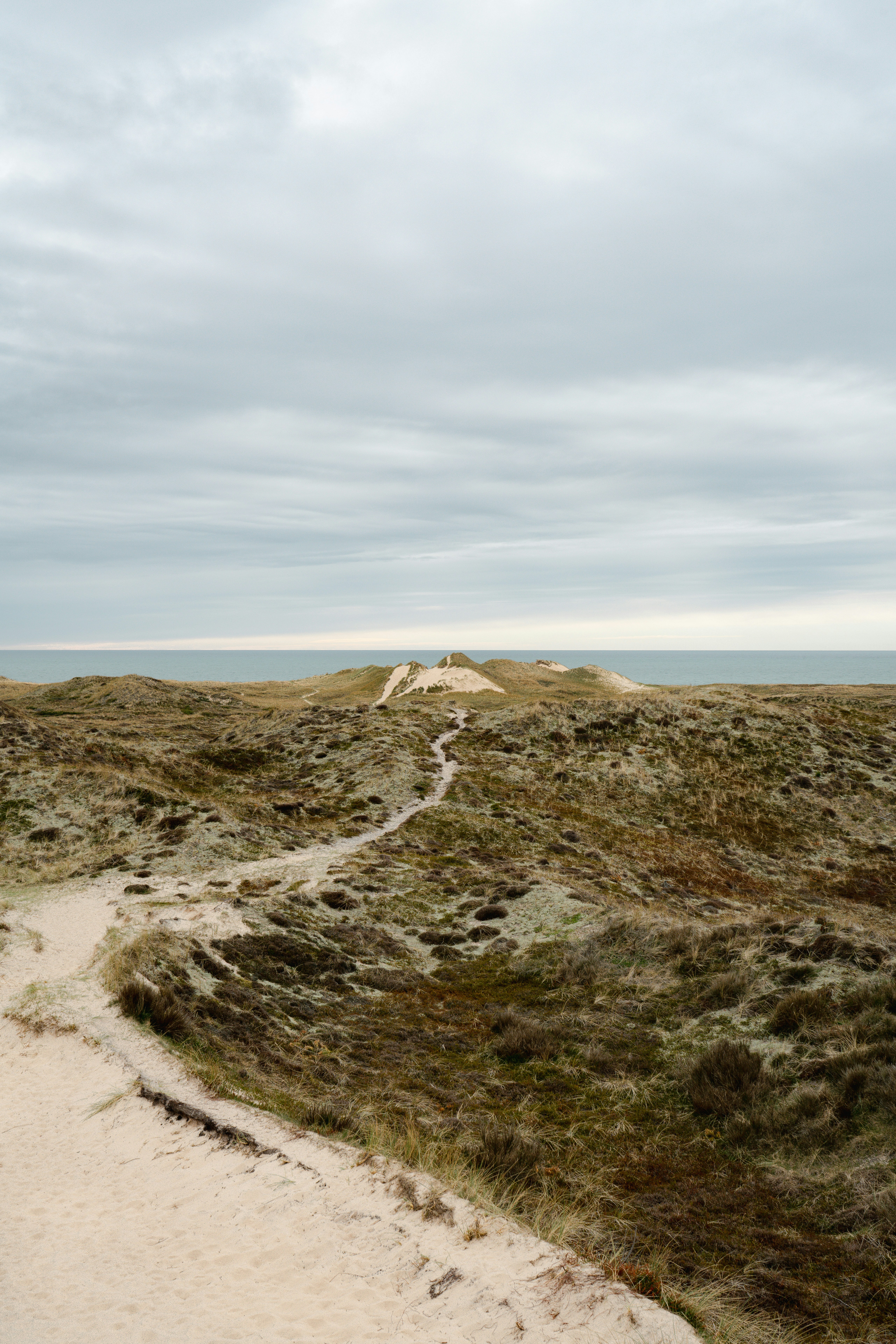 Deserted dunes toward a distant sea horizon