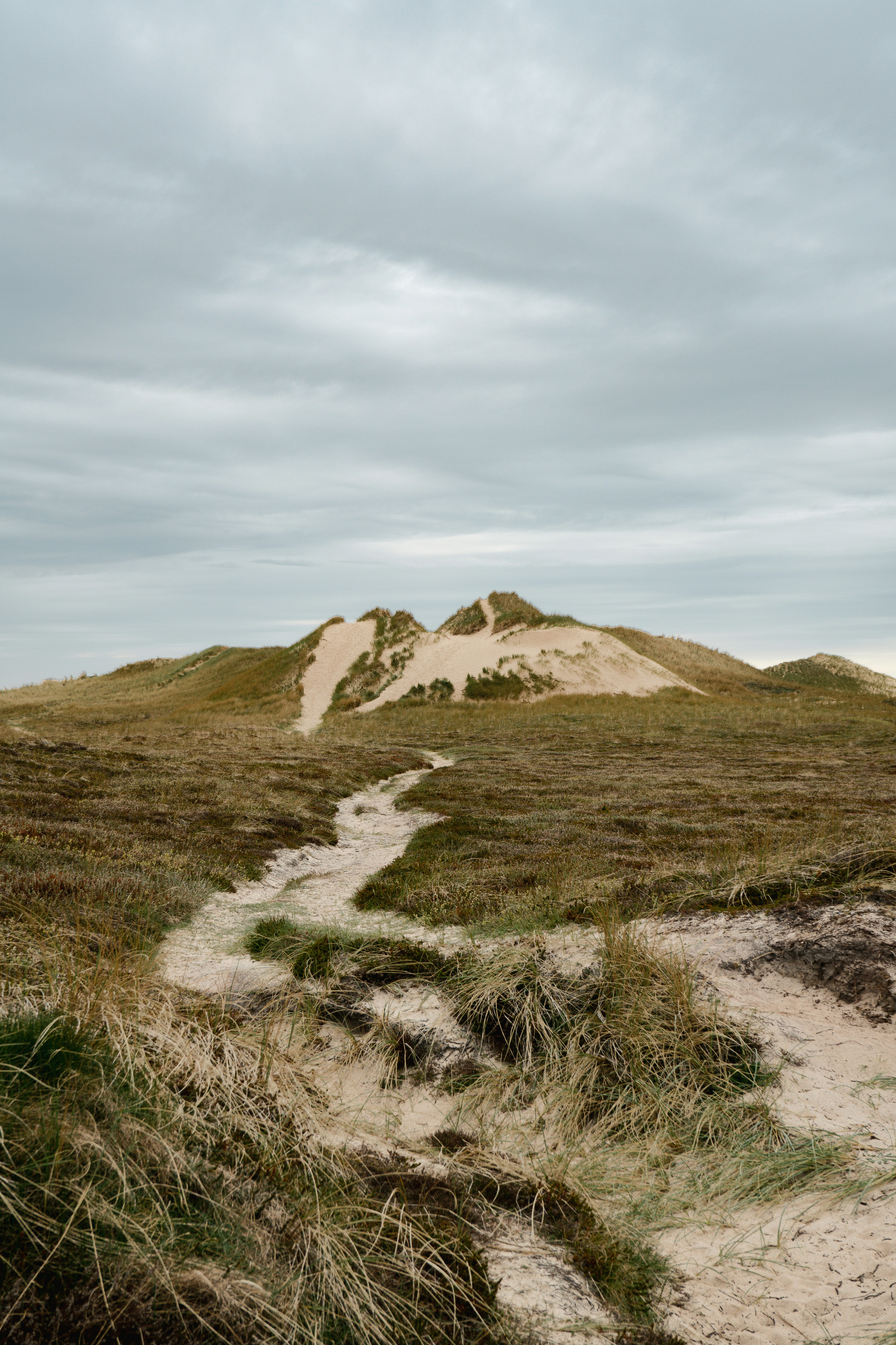 Dune Trail to the Quiet Summit