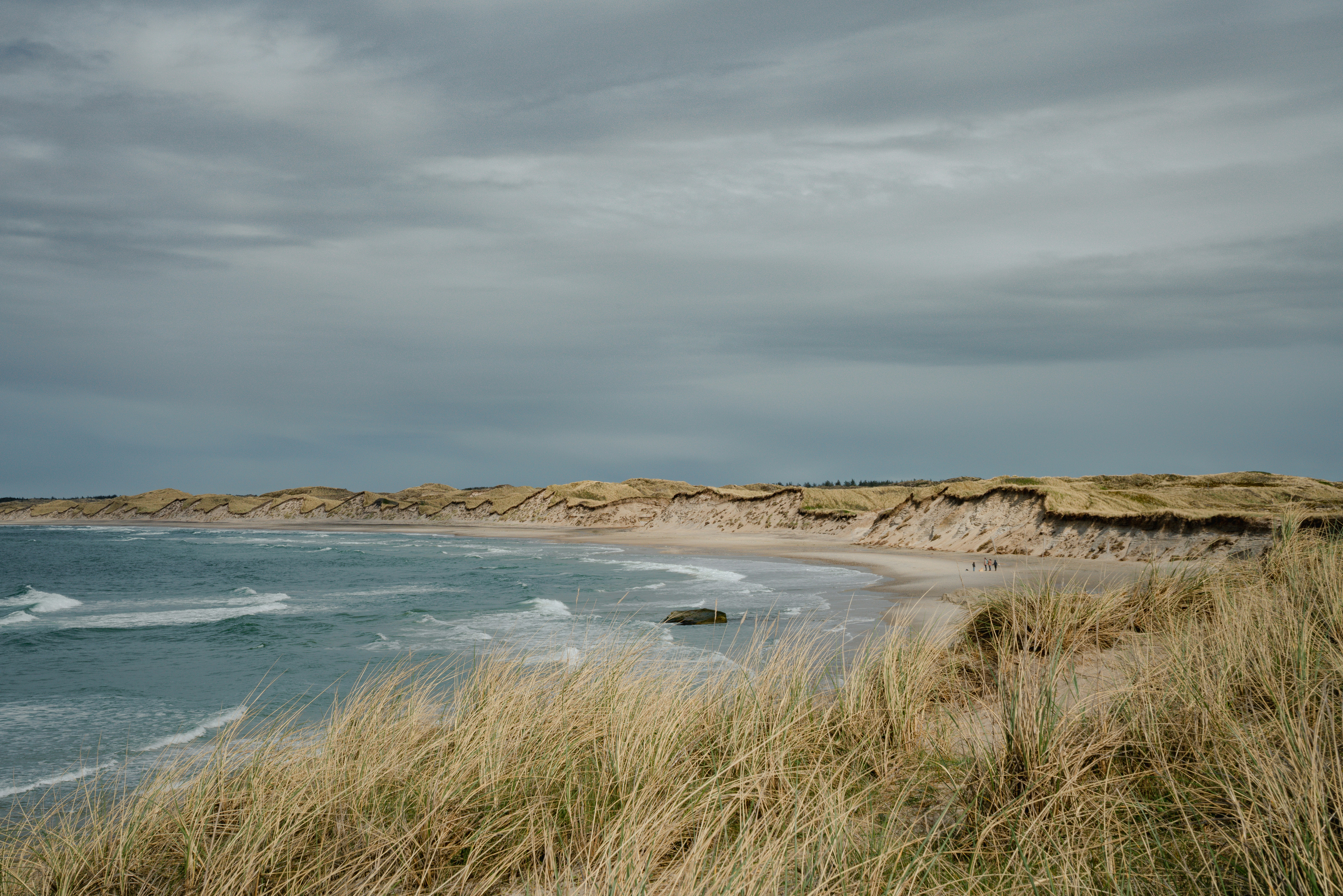 Wind-swept dune grass frames a calm shoreline with distant cliffs and a soft, cloudy sky; a tranquil coastal scene emphasizing textures and color. (landscape photograph)