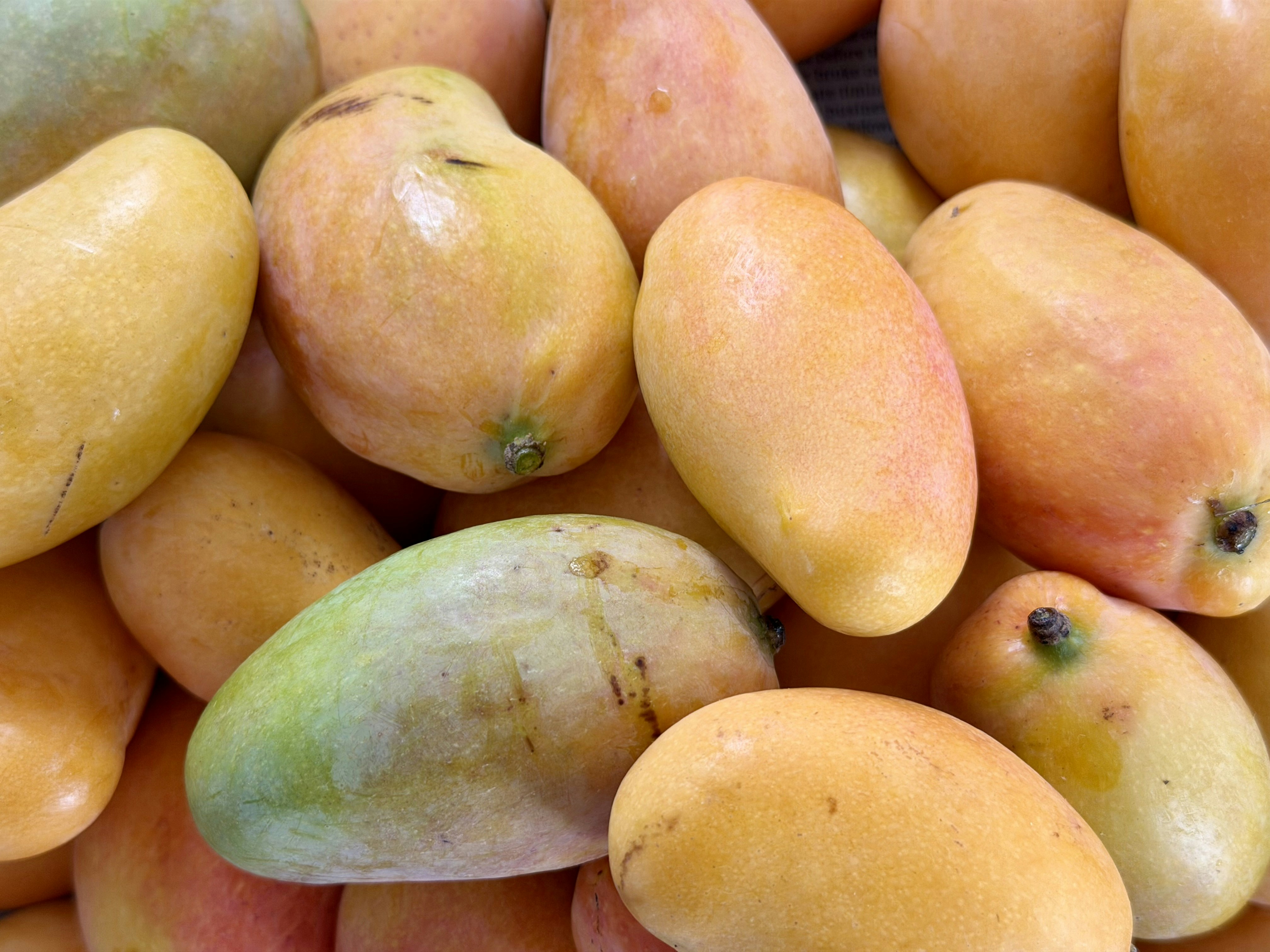 Sunlit Mango Mosaic: A Close-Up of Golden Hues and Peachy Fade