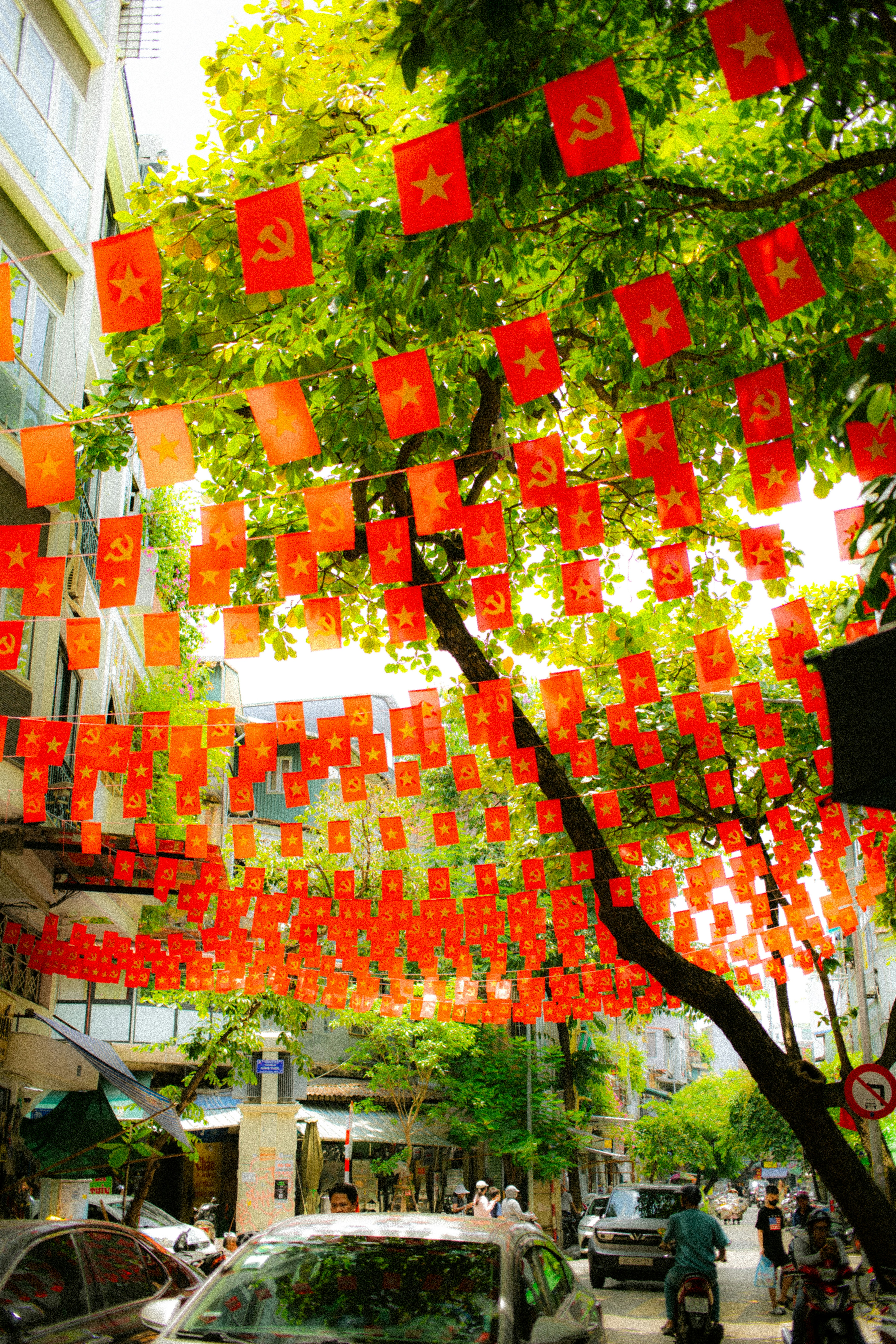Crimson Flags Crown a Verdant City Street