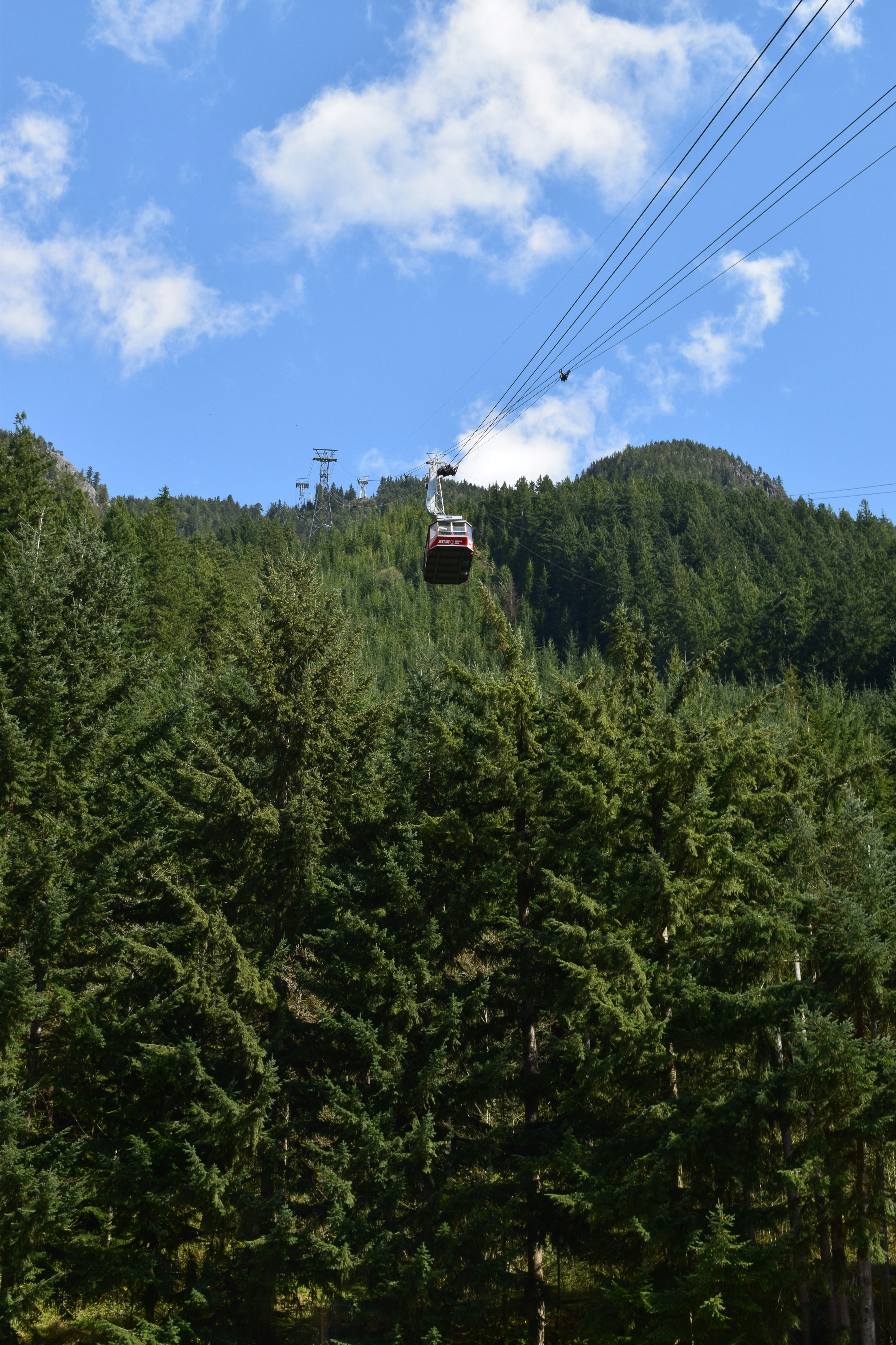 Cable Car Descent Through Verdant Peaks