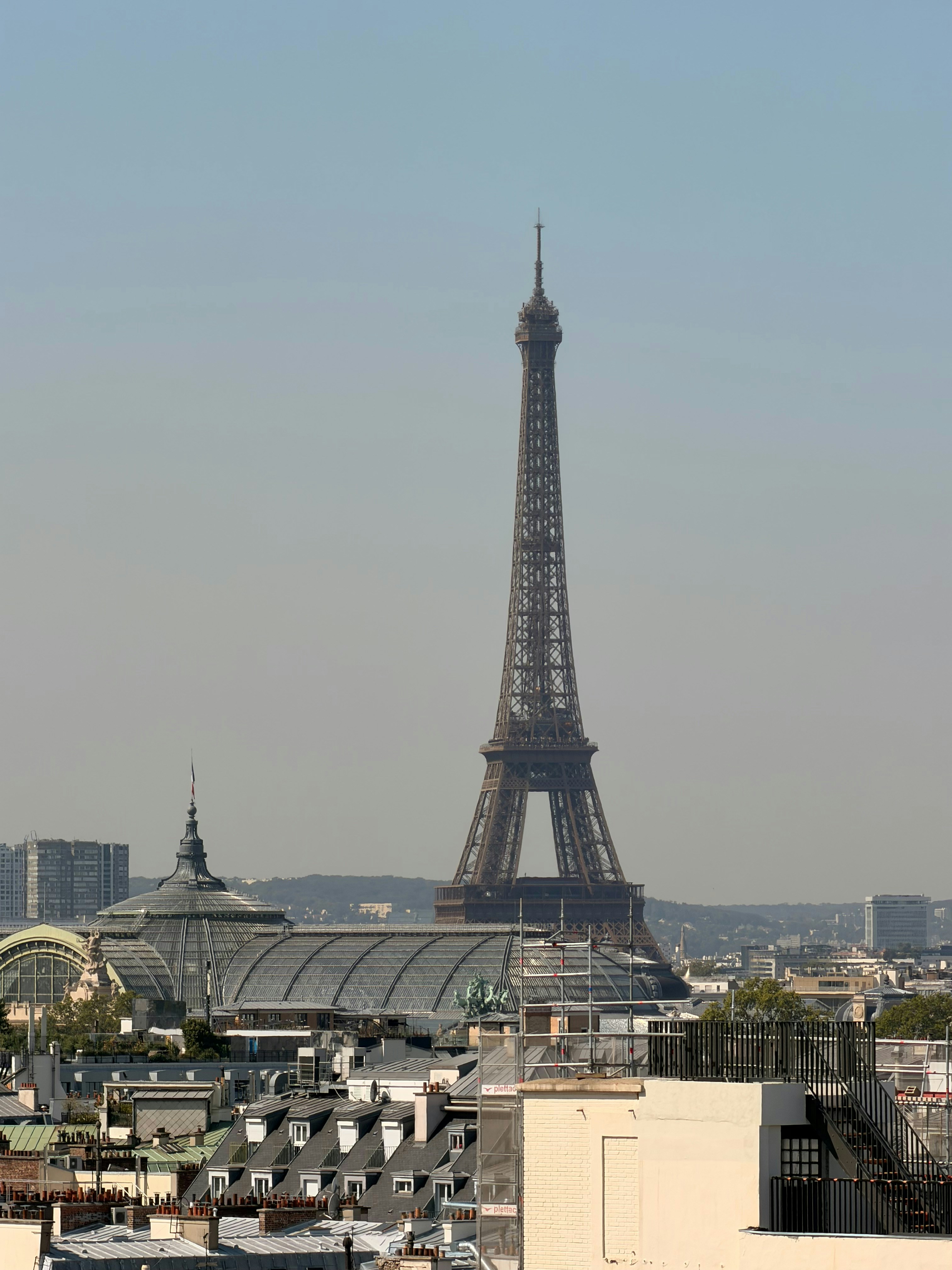 Cityscape with the Eiffel Tower rising above a dense urban foreground, bathed in soft daylight.
