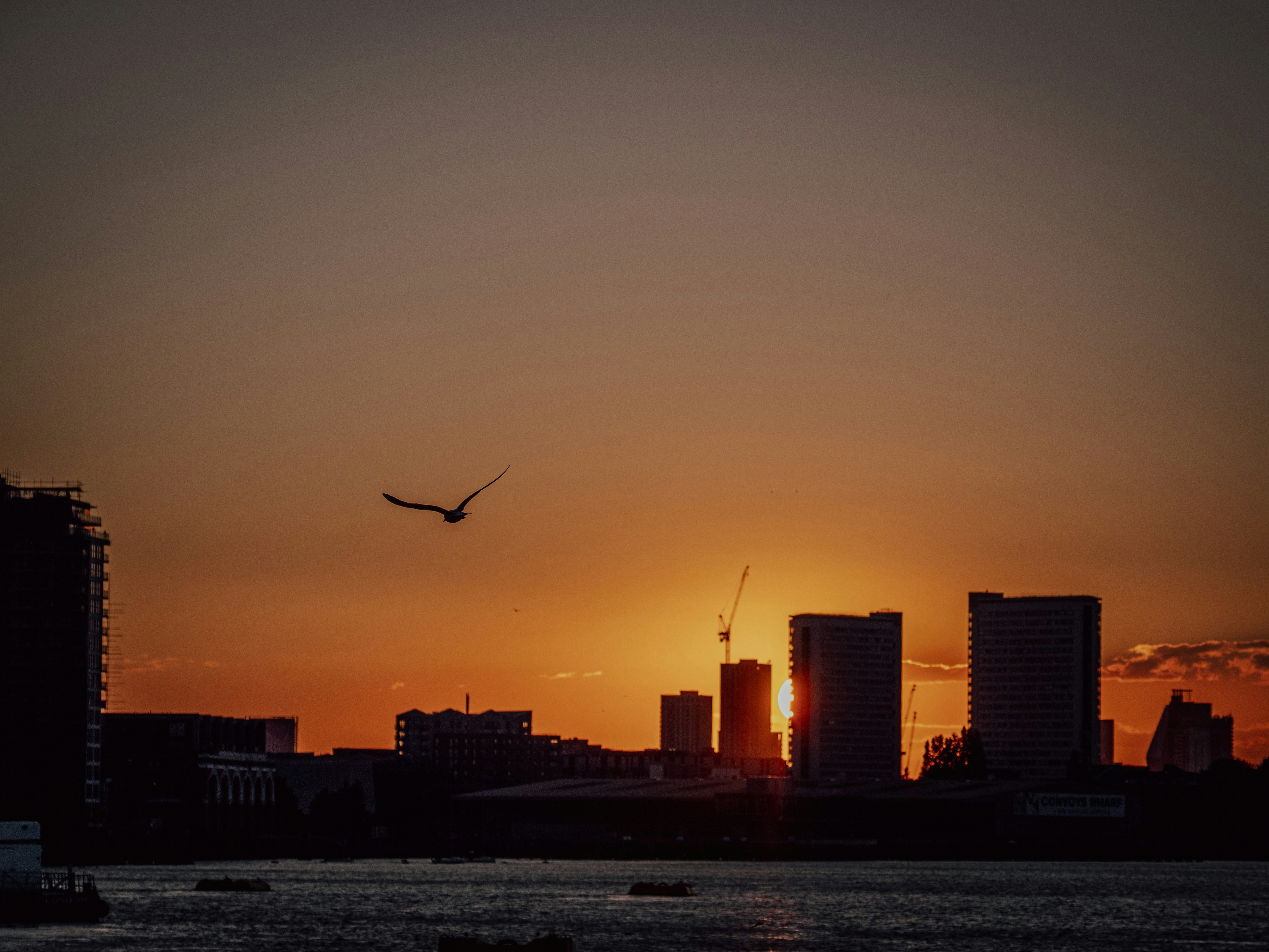 Sunset Silhouette Over the Waterfront City