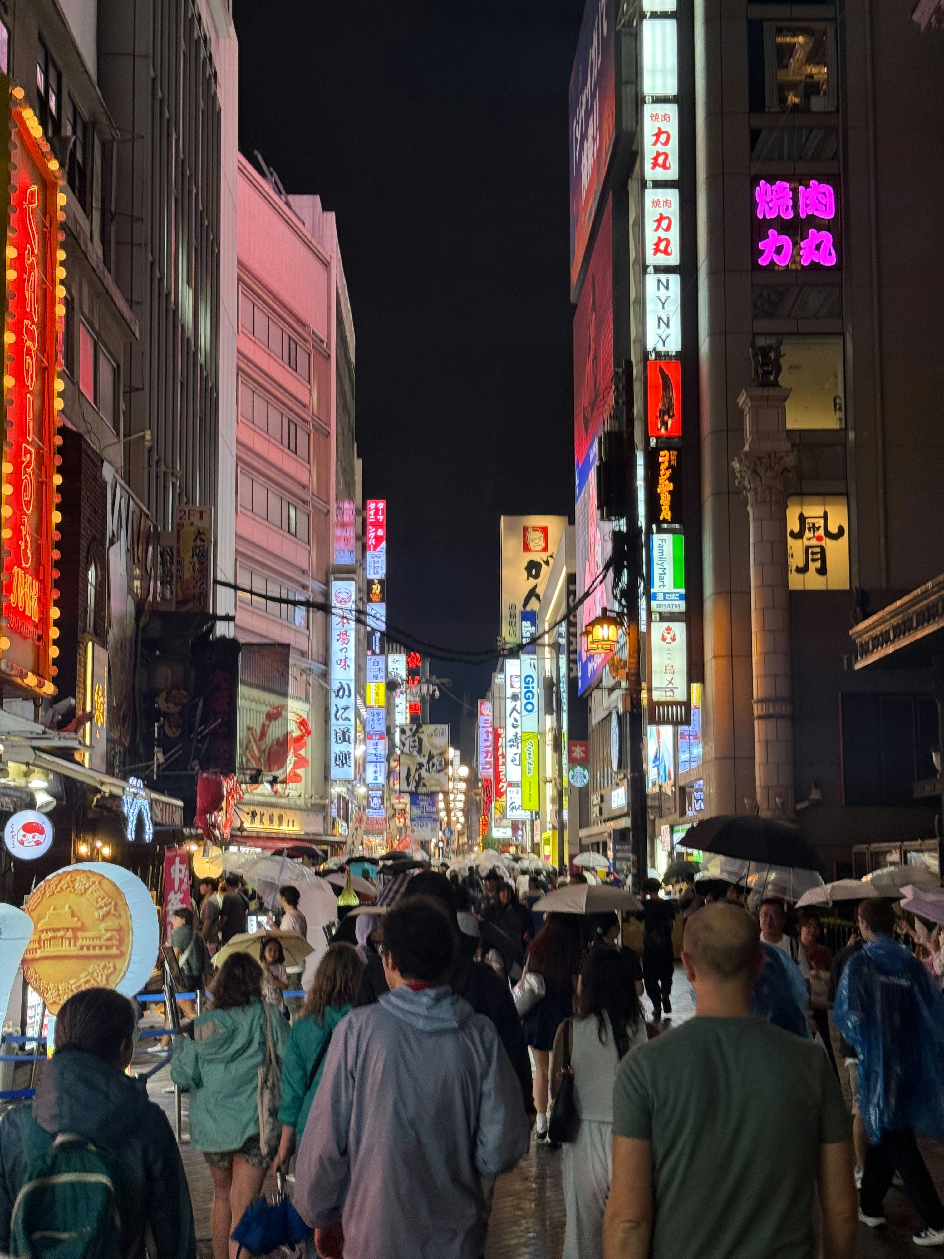 Neon Canyon: Crowds and Light in a Tokyo Street After Dark