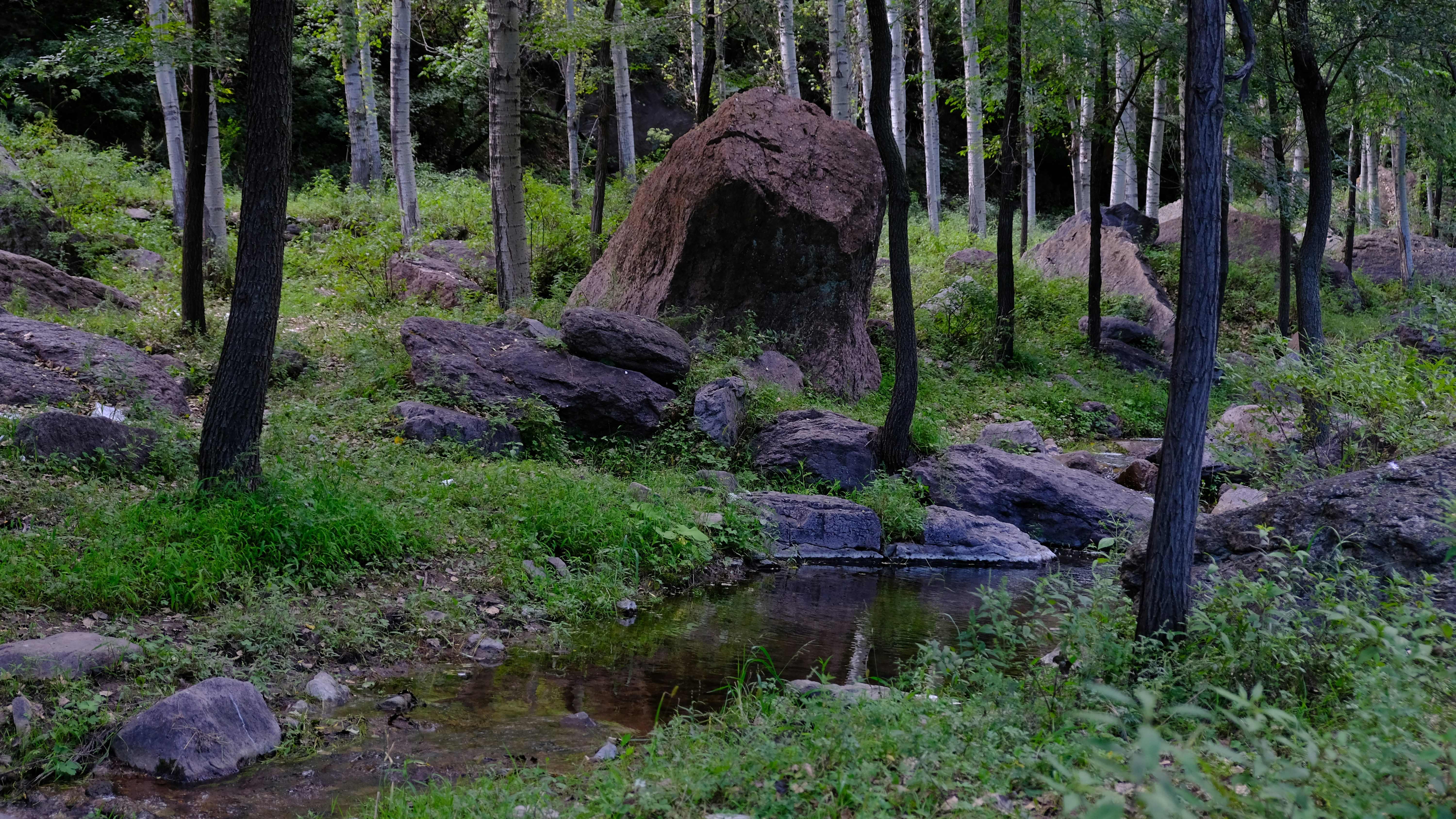 Stone Arch in a Quiet Forest Stream