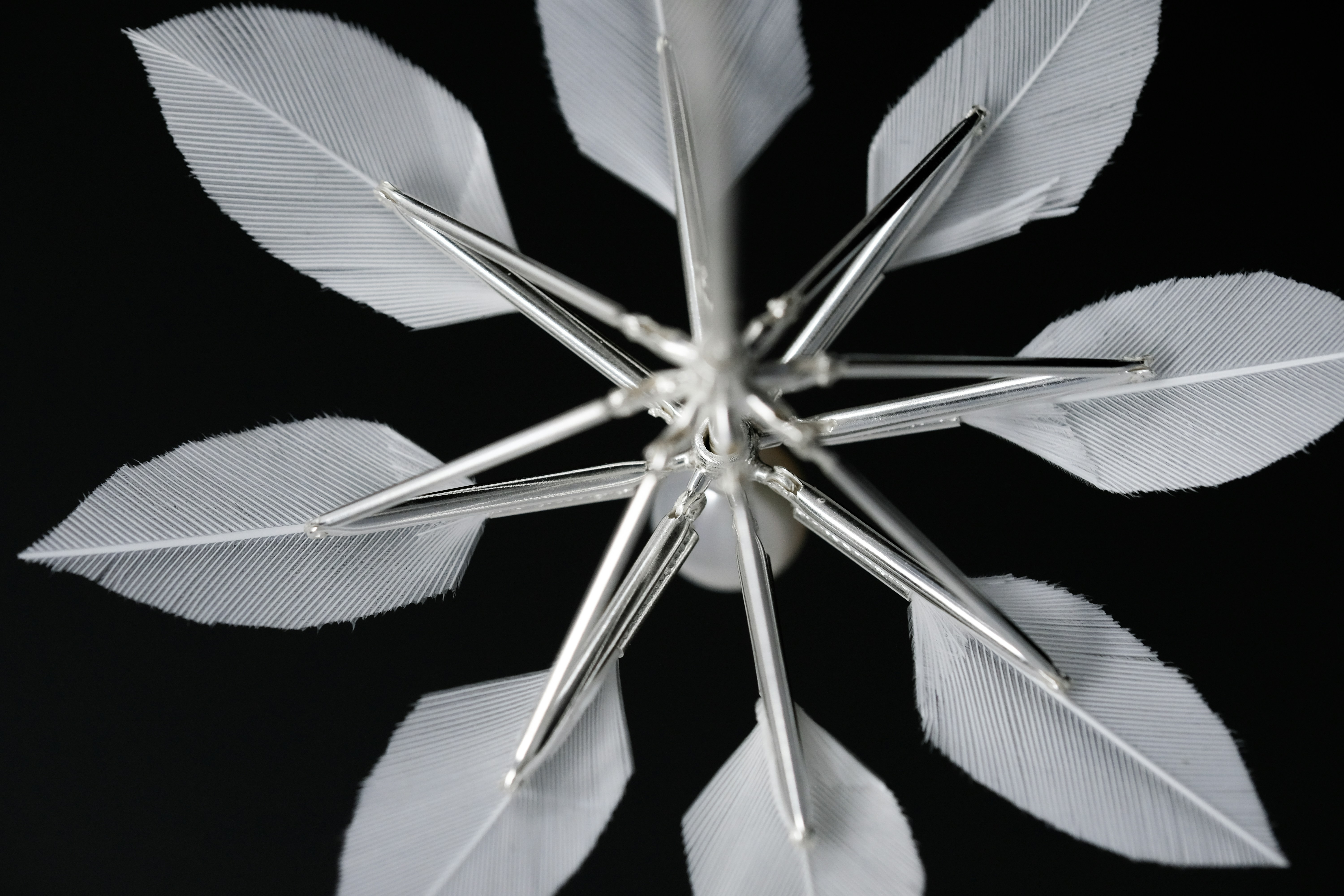 Symmetry in Steel: A Starburst of Rails and Feathers