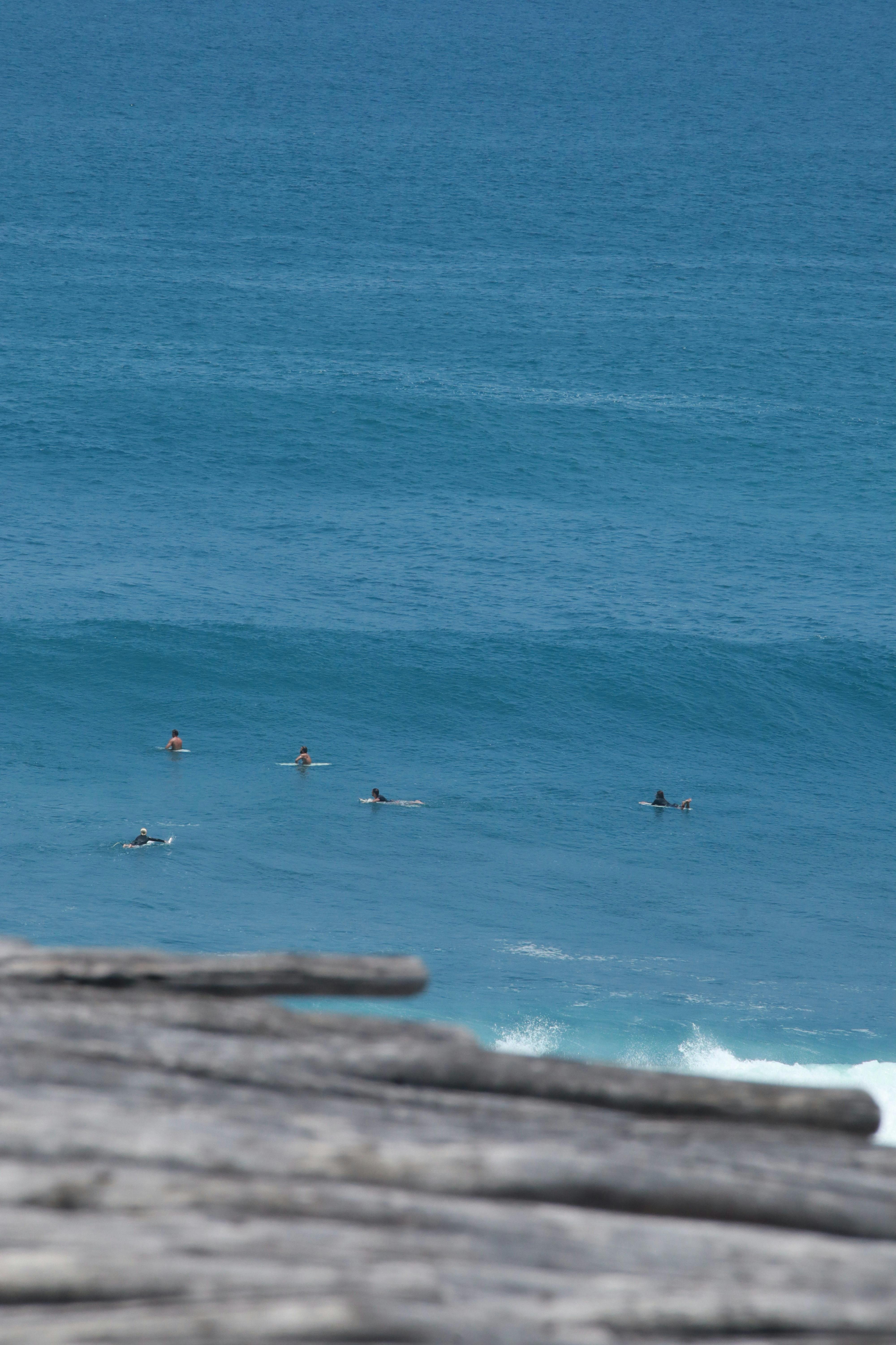Surfers Line the Blue Horizon Beyond Weathered Driftwood