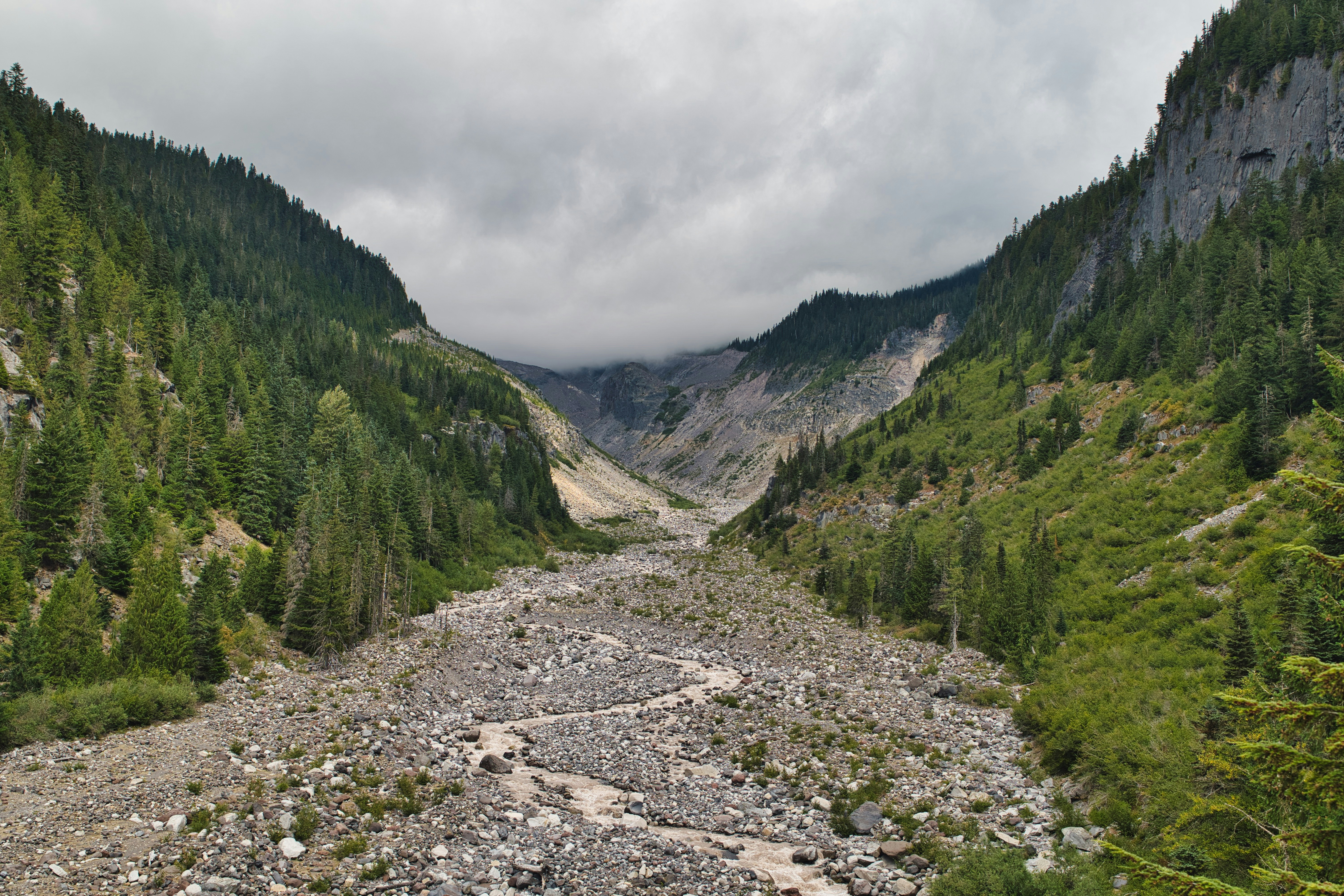 Valley Worges of Rock and Pine