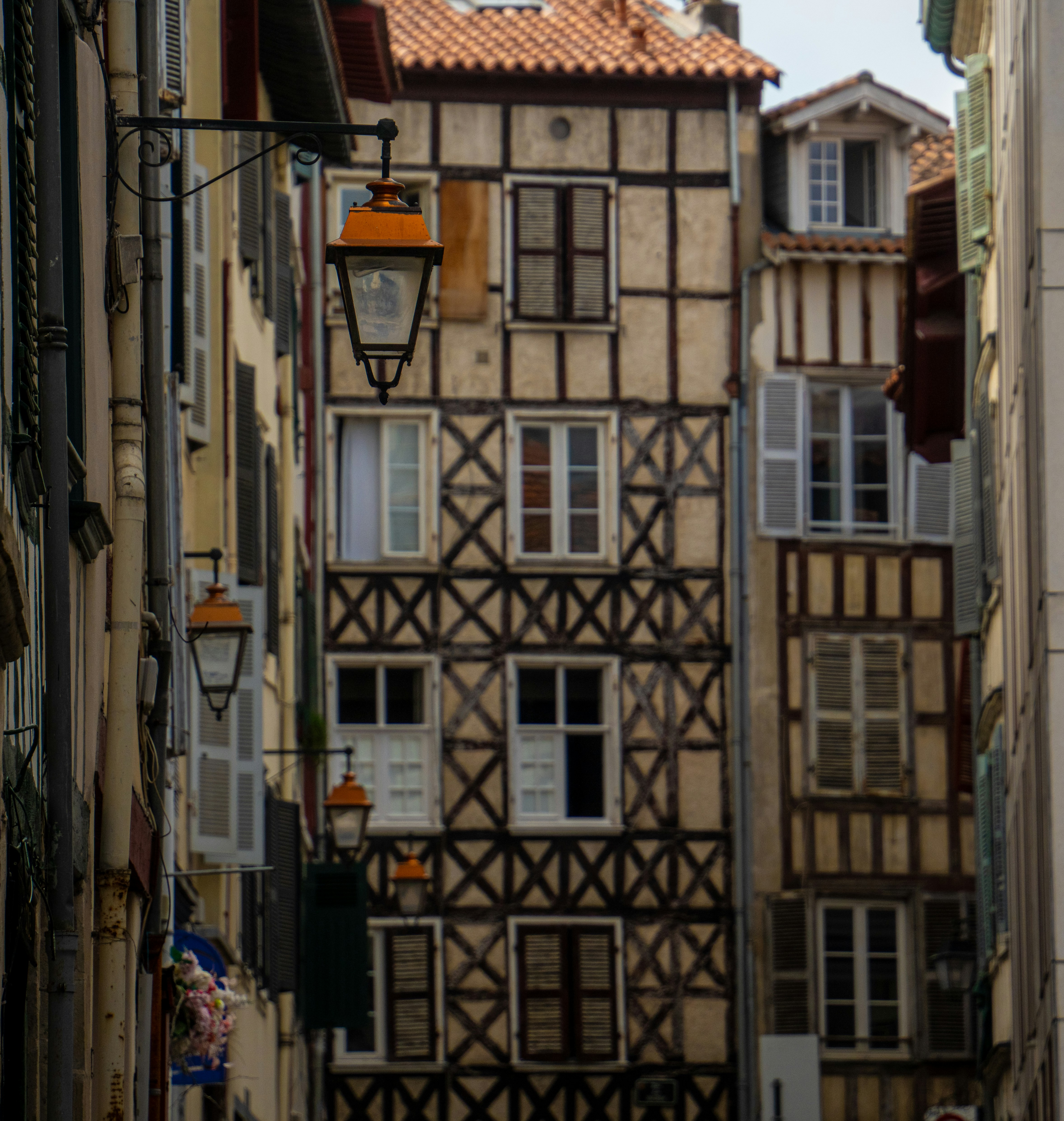 Timbered Facades in a Narrow Cornice Lane