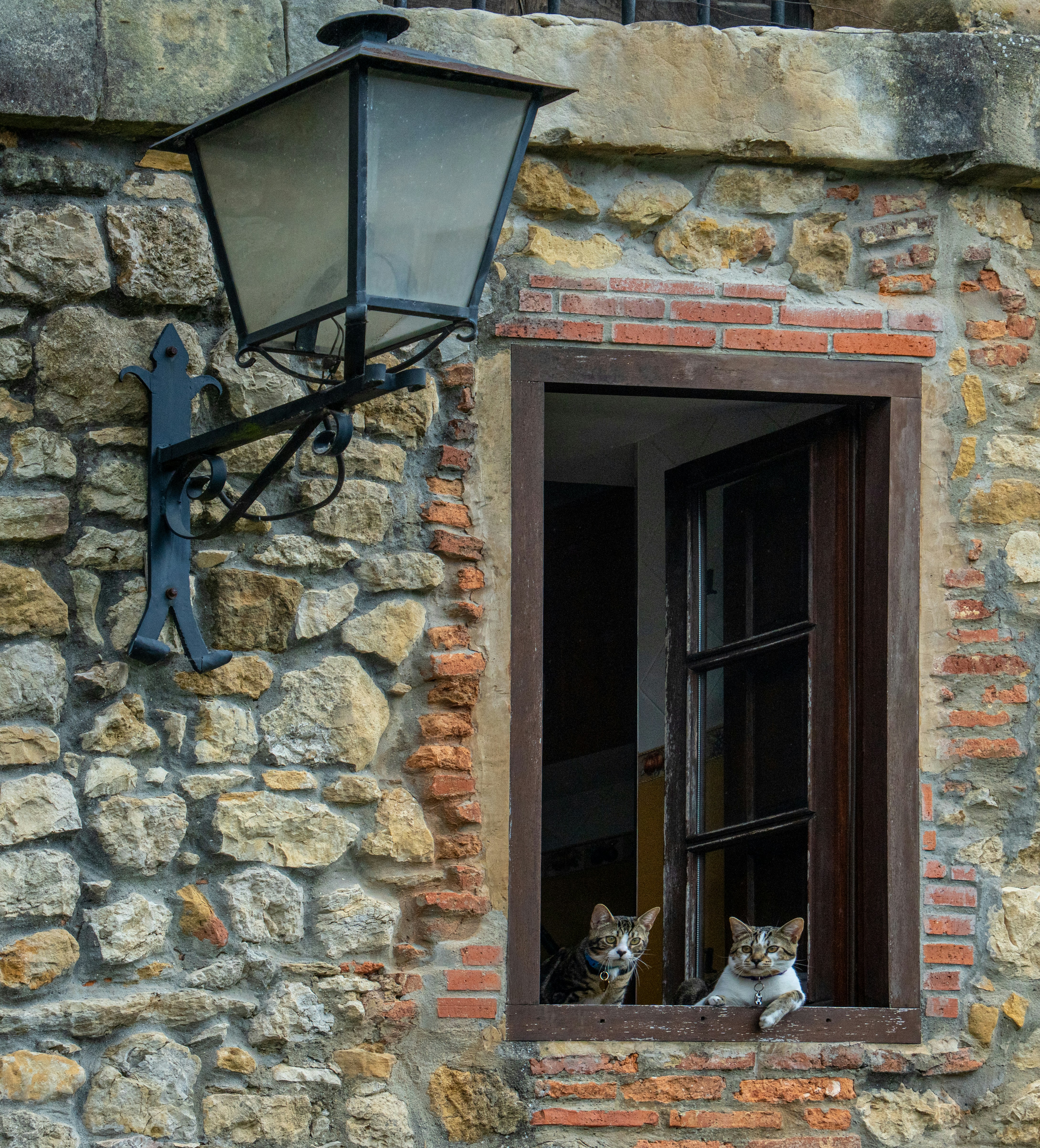Two Curious Kittens at the Window of a Weathered Stone Wall