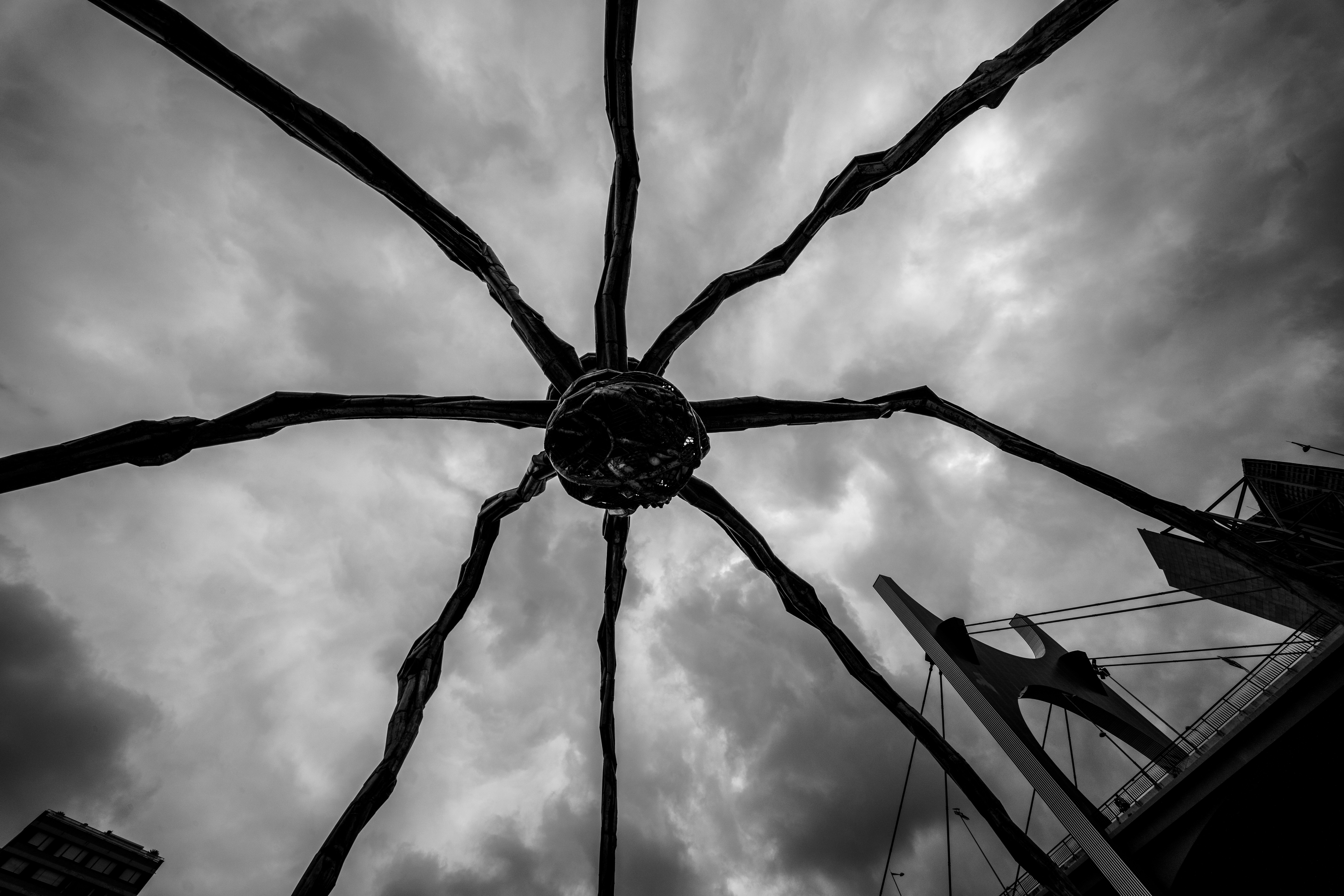 Skyward Tether: The Central Octopus of Tension