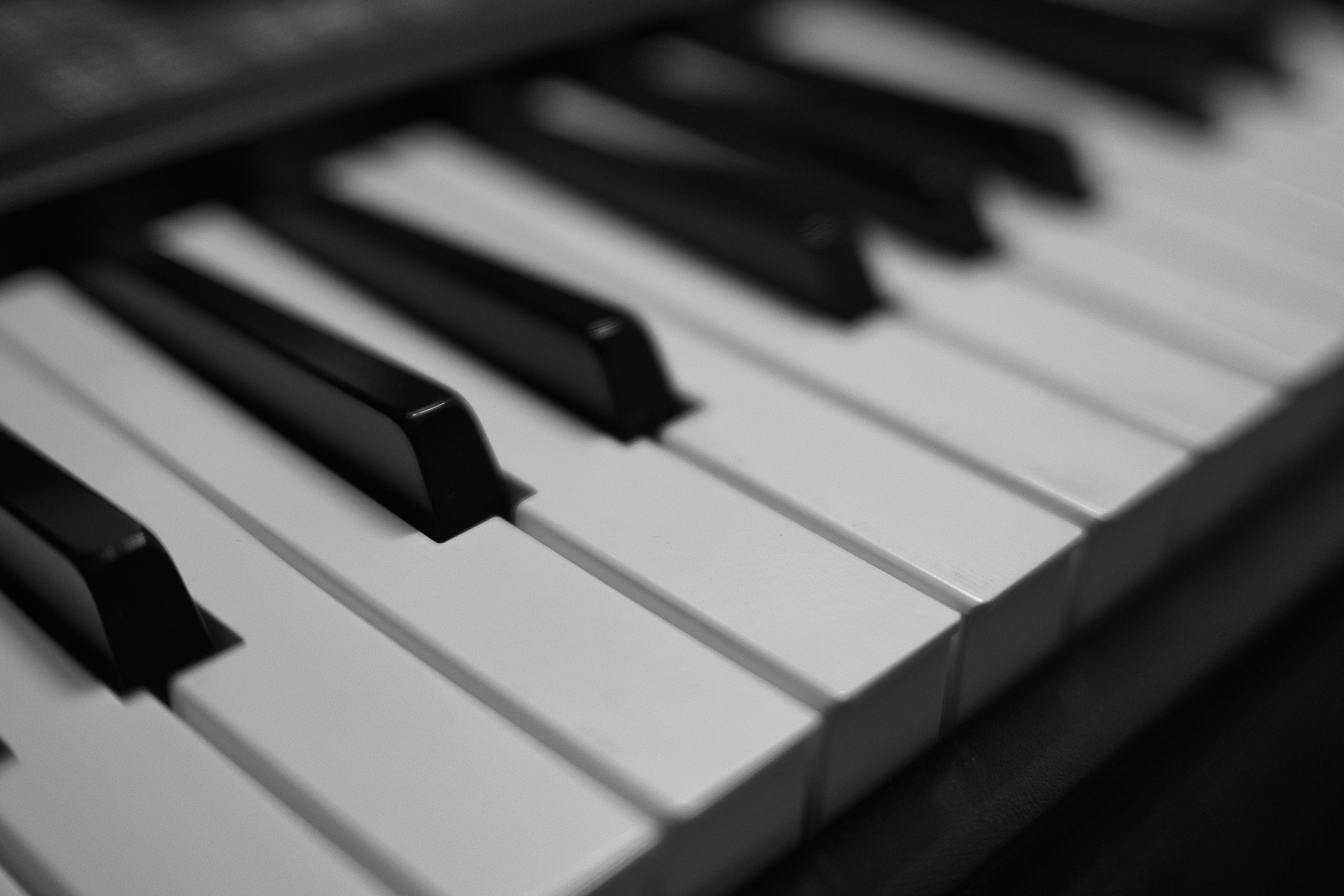 Monochrome Keys: A Quiet Dance of Light on Piano Ivory