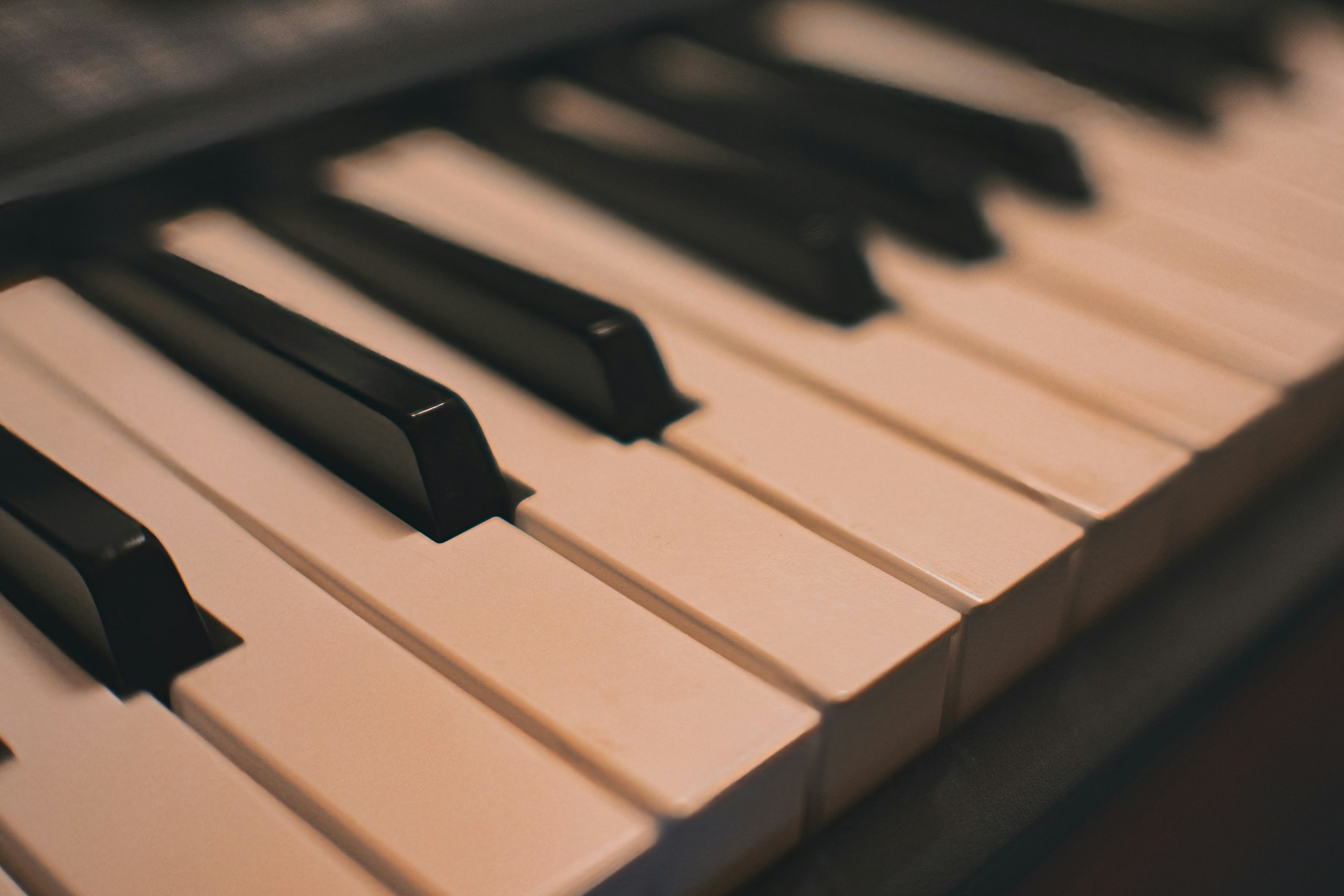 Muted Keys: A Close-Up of Piano Ivories in Soft Sepia