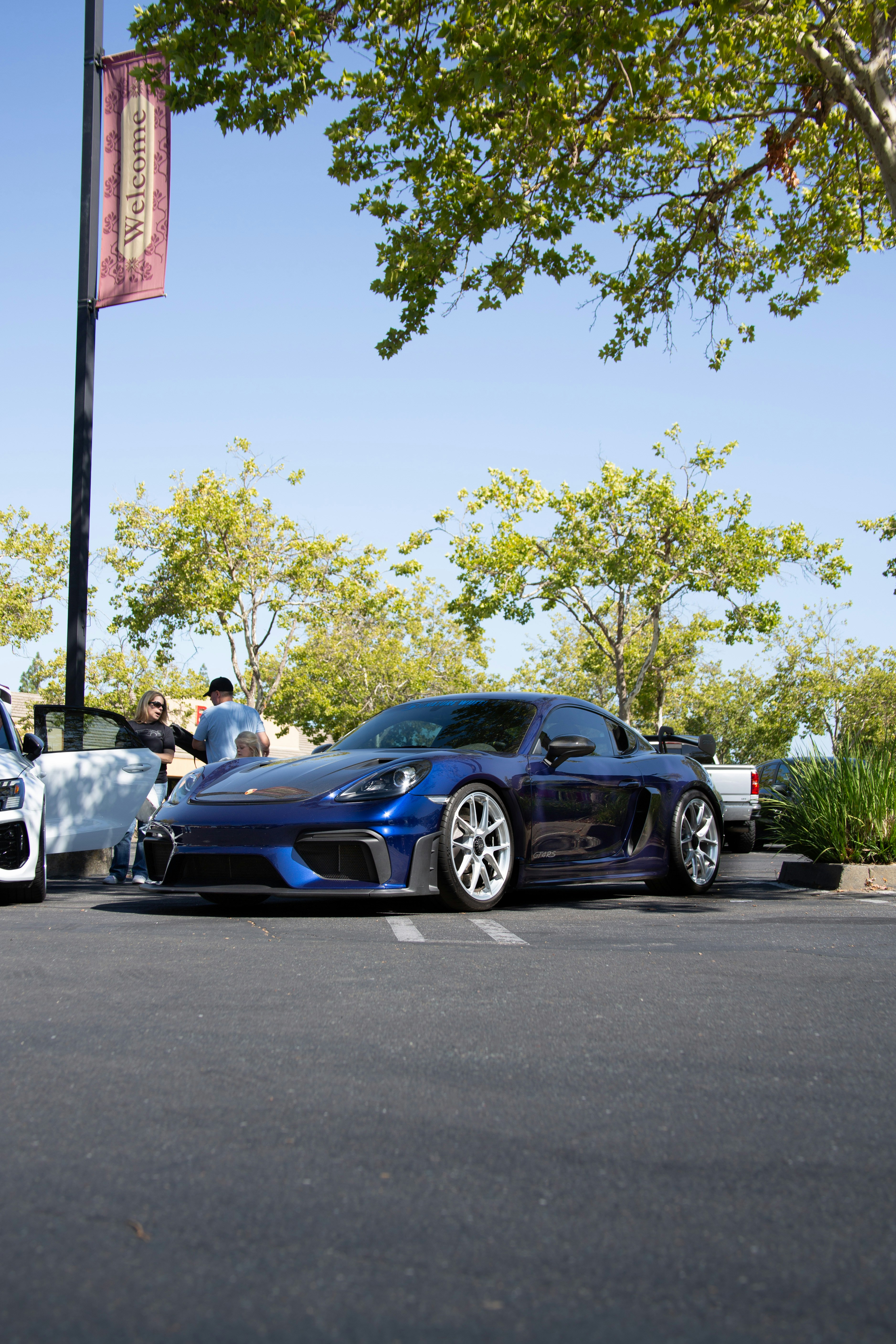 Midnight Indigo: A Curated Car Moment in a Sunny Lot