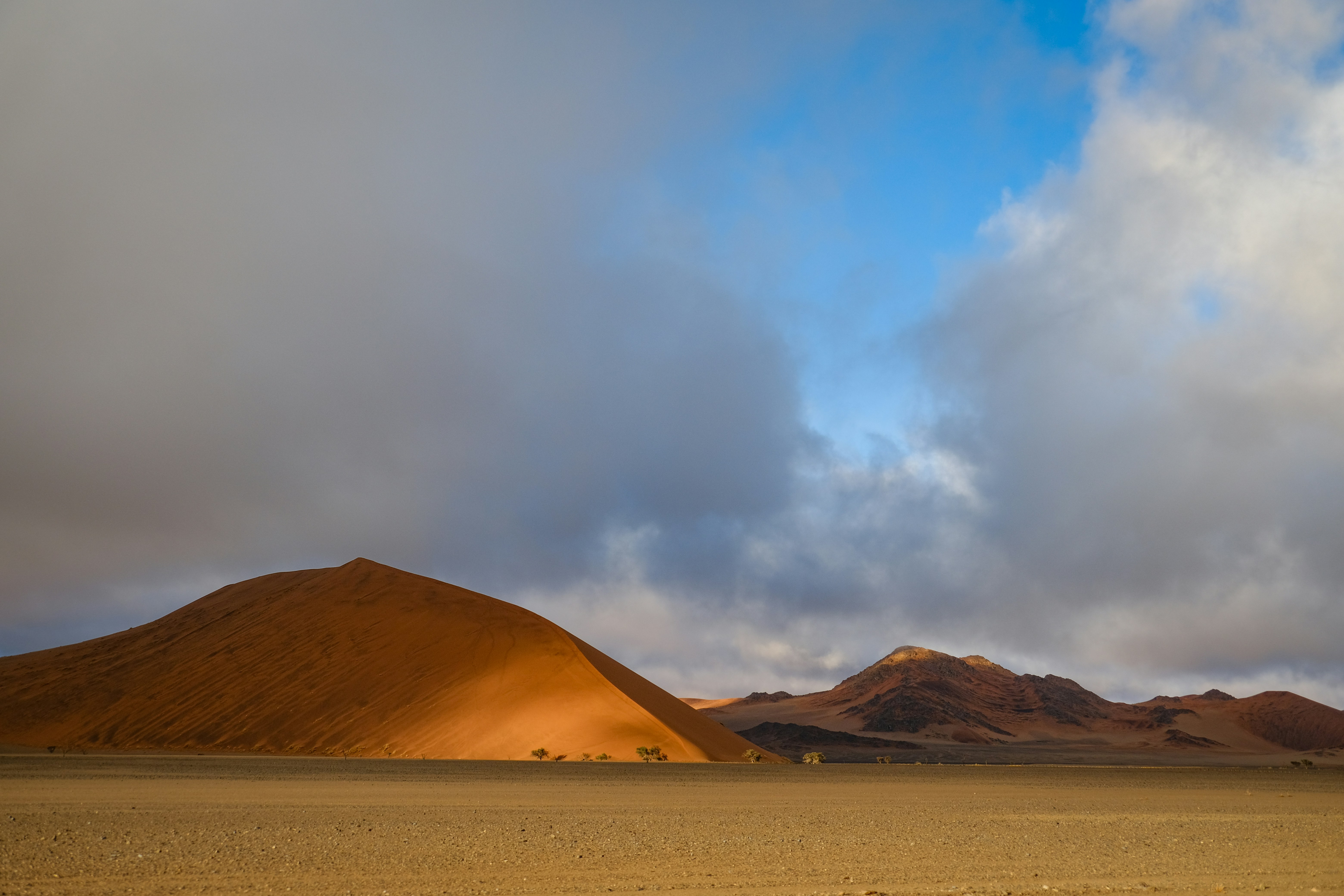 Undulating Dunes Under a Sky of Contrasting Light