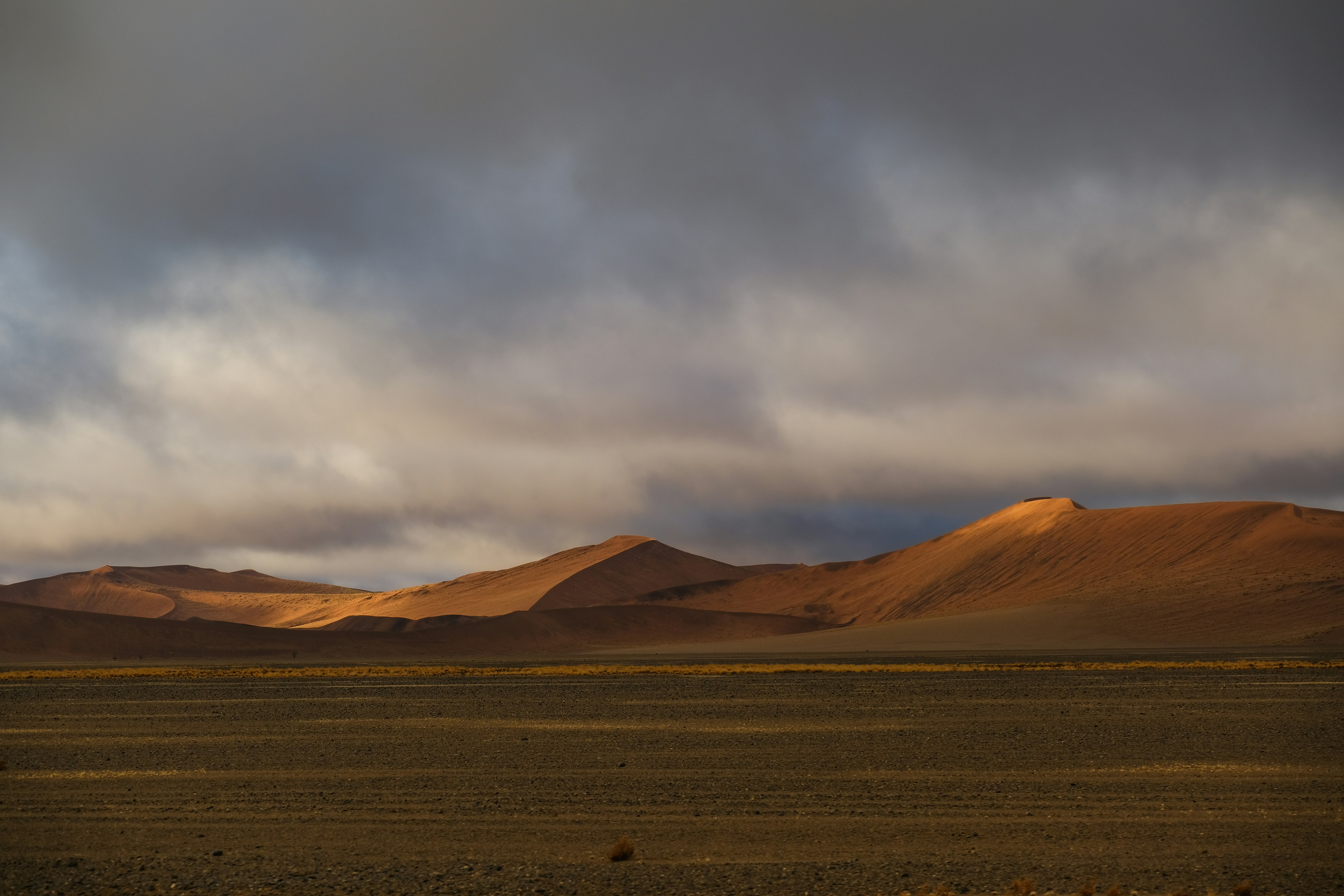 Toward the Golden Crest: Dune Ridge at Dusk