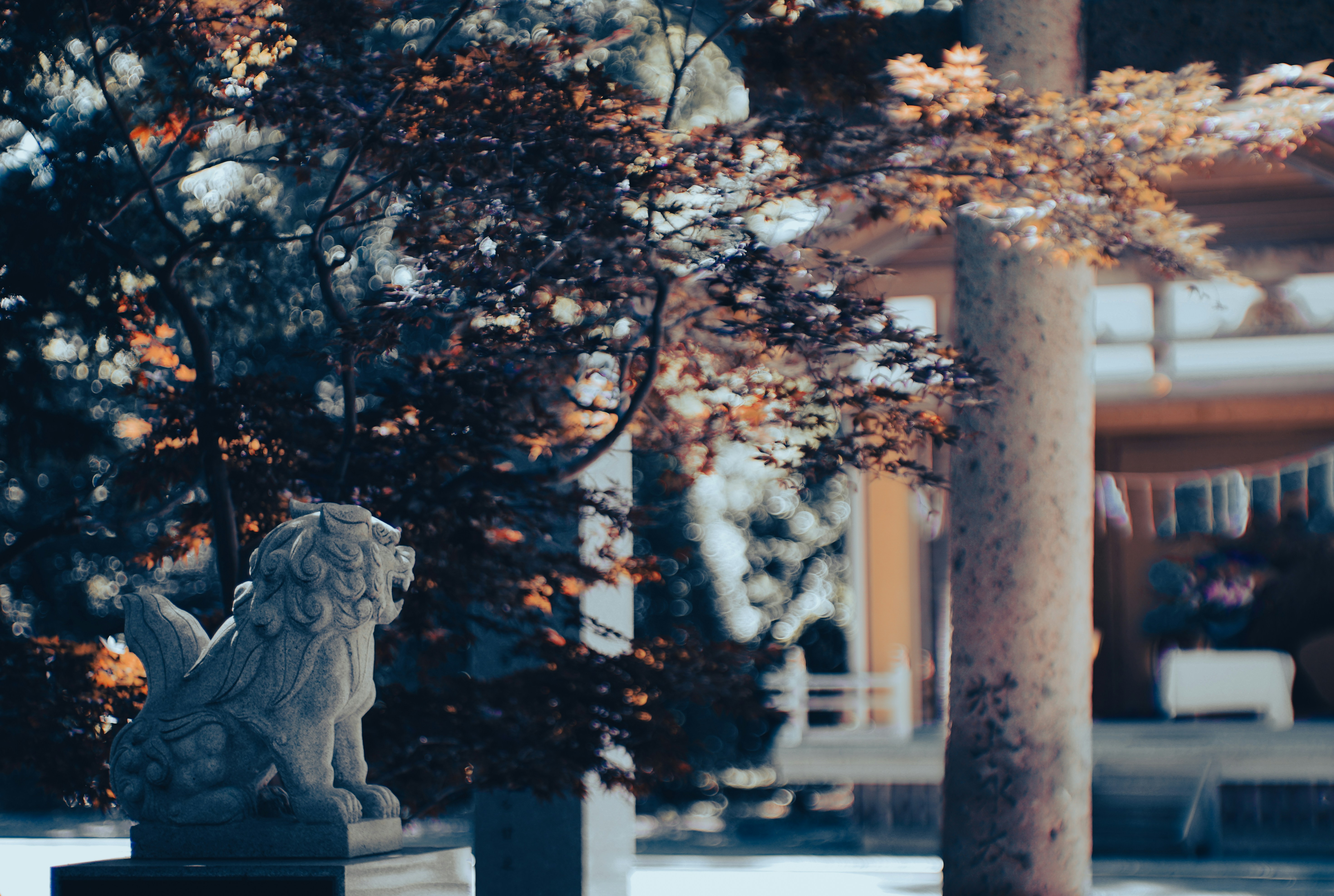 Stone Guardian in Quiet Courtyard