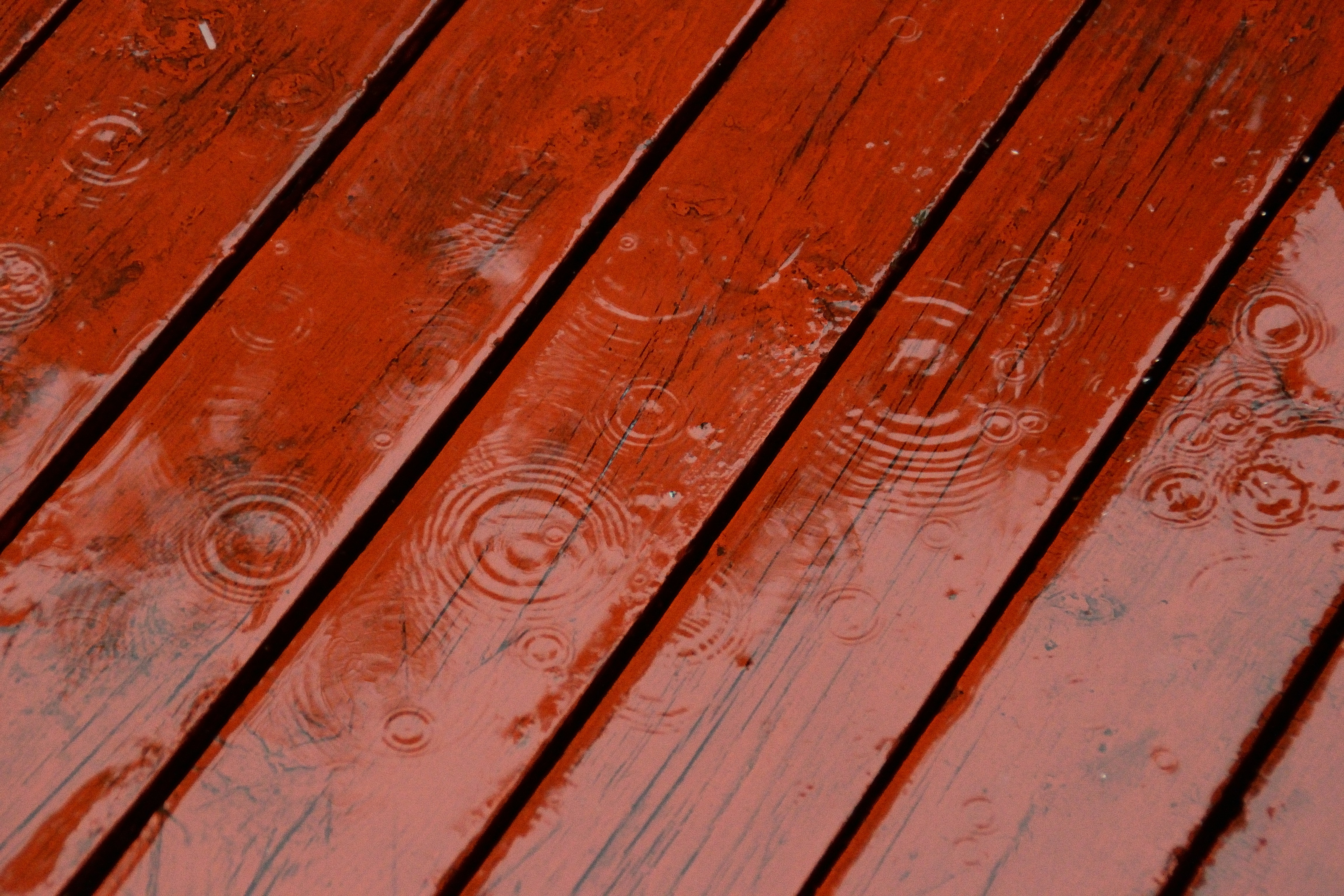 Rain-Kissed Cedar Planks: A Silent Red Scene