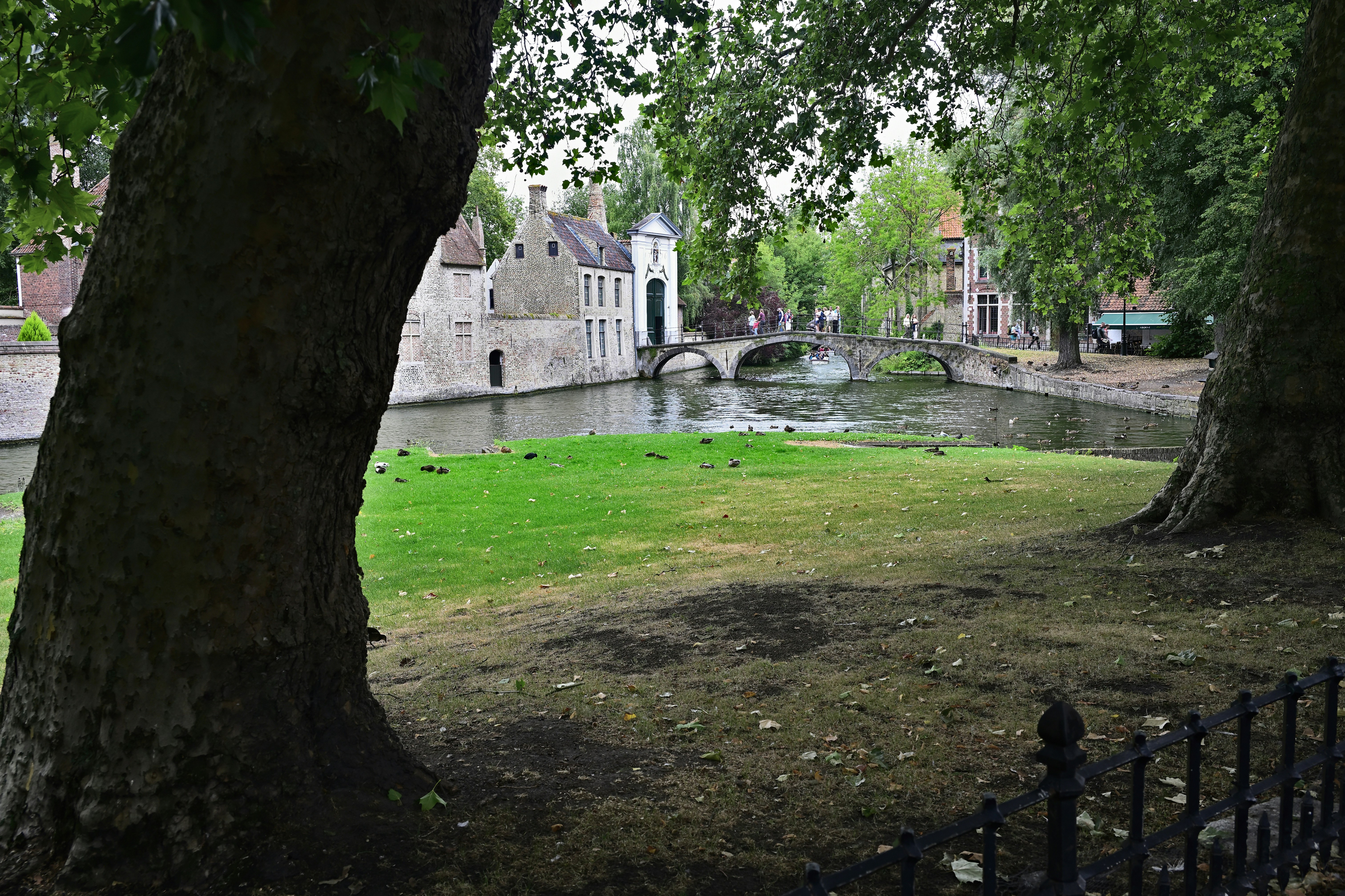 Bridge Under the Town Trees