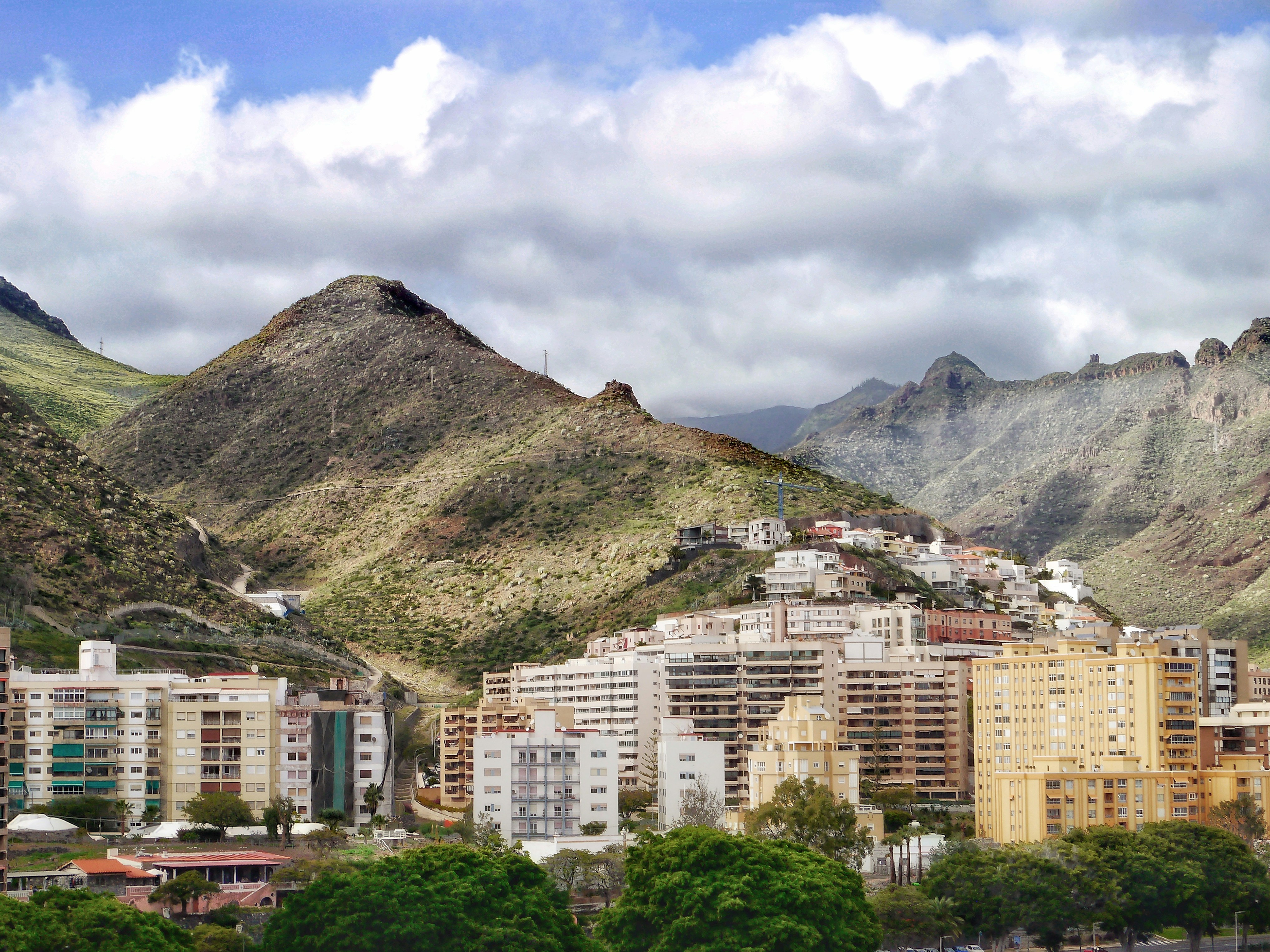Urban foothills: a sunlit hillside cluster rising above a sunlit coastal city