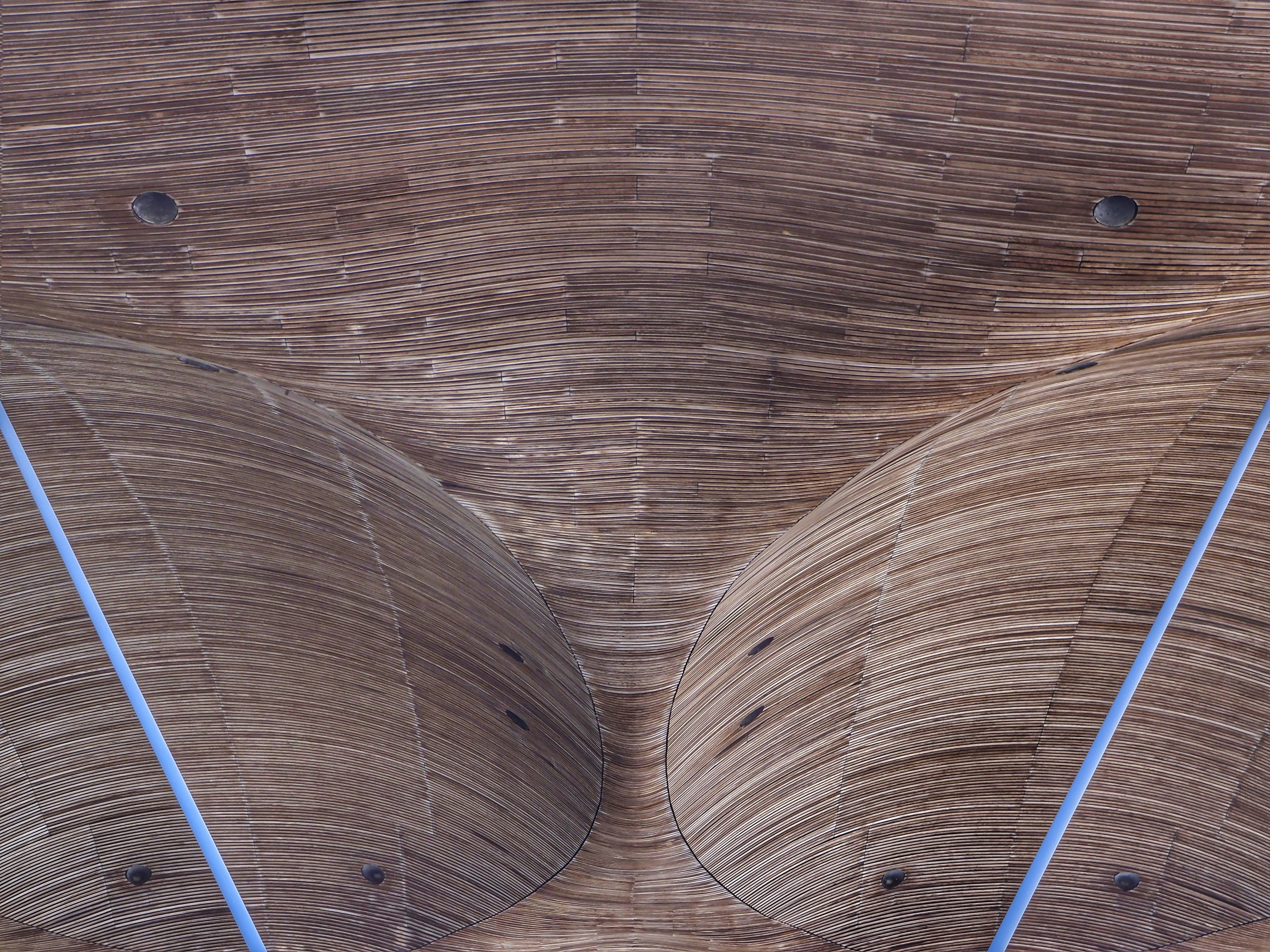 Converging Cedar Curves: Symmetry in a Wooden Vault