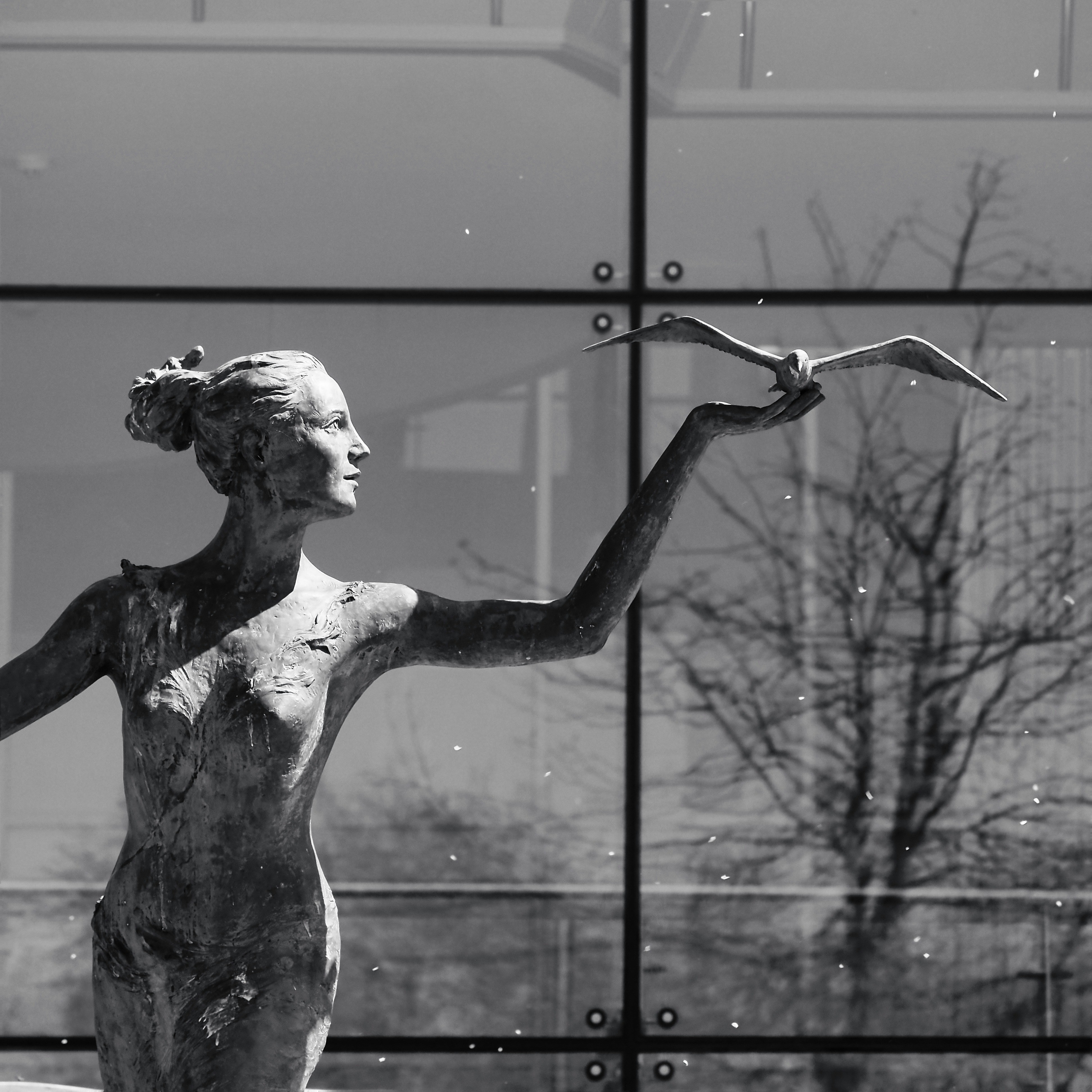 Statue in Glass: A Poised Figure with Outstretched Arm Surrounded by Reflections