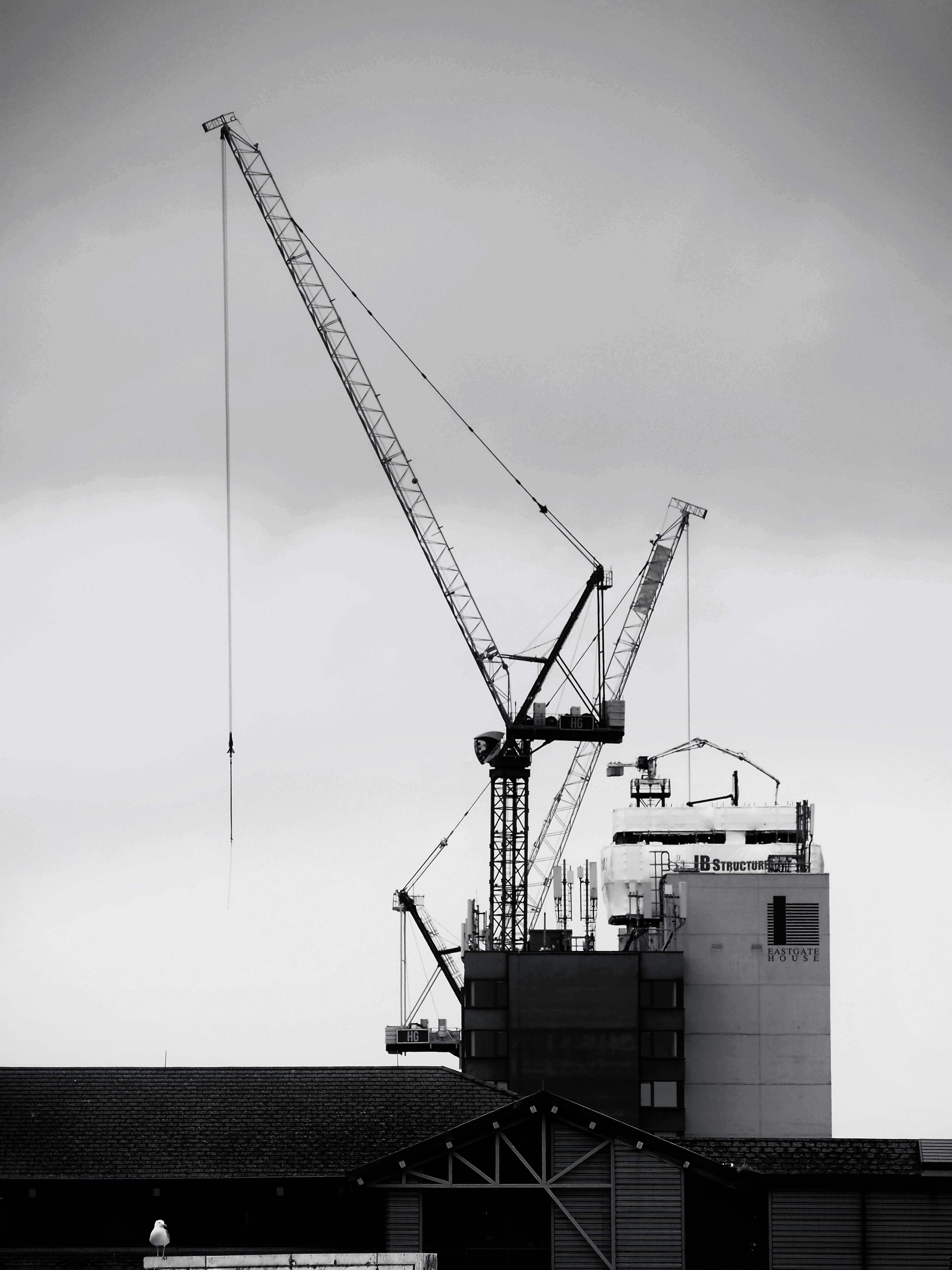 Crane Silhouette Over Industrial Trim: A Monochrome Skyline