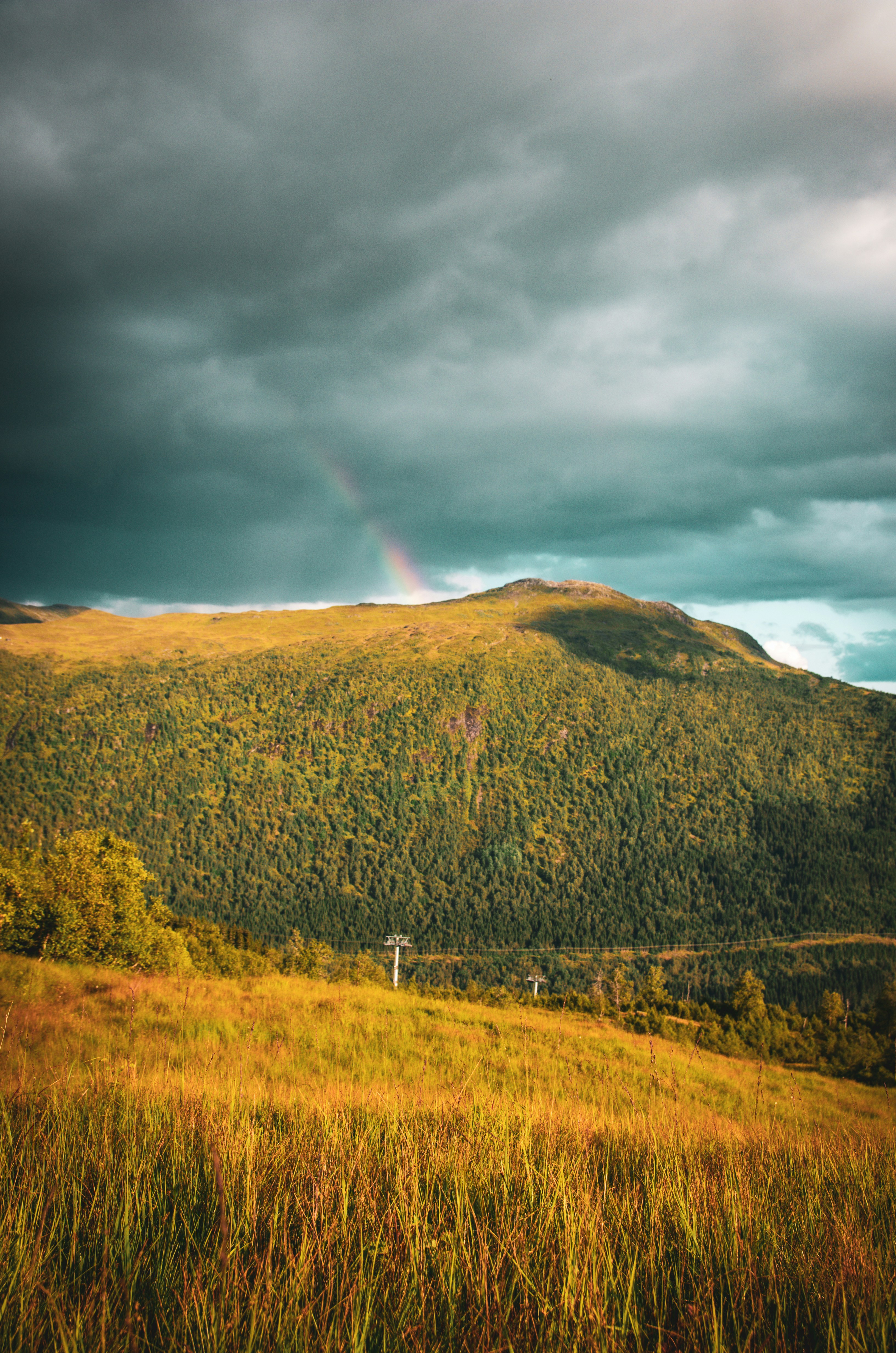 Rainbow Touch on the Rolling Highlands