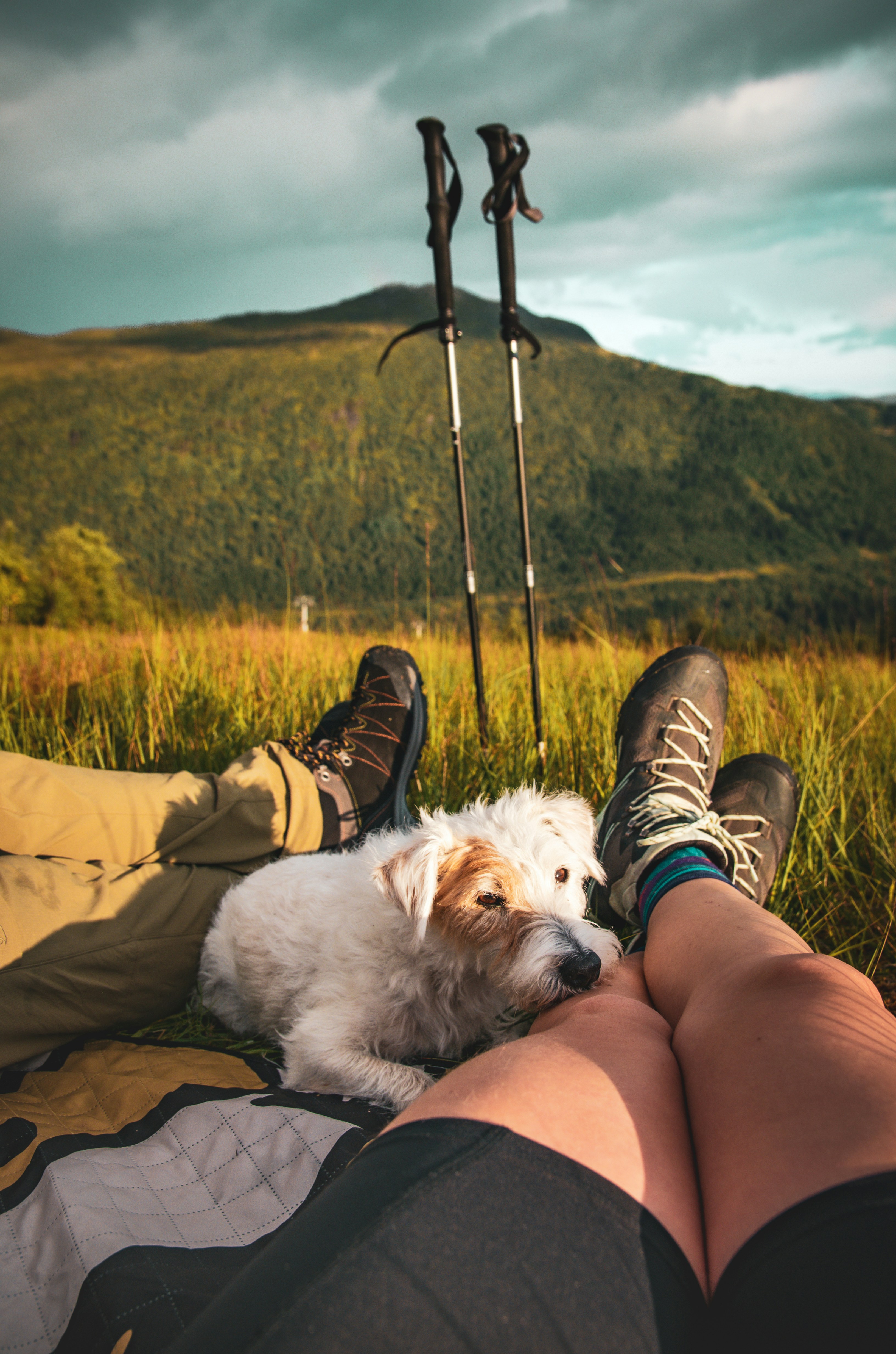 Boots, Dog, and Hiking Poles: A Quiet Moment at Dusk