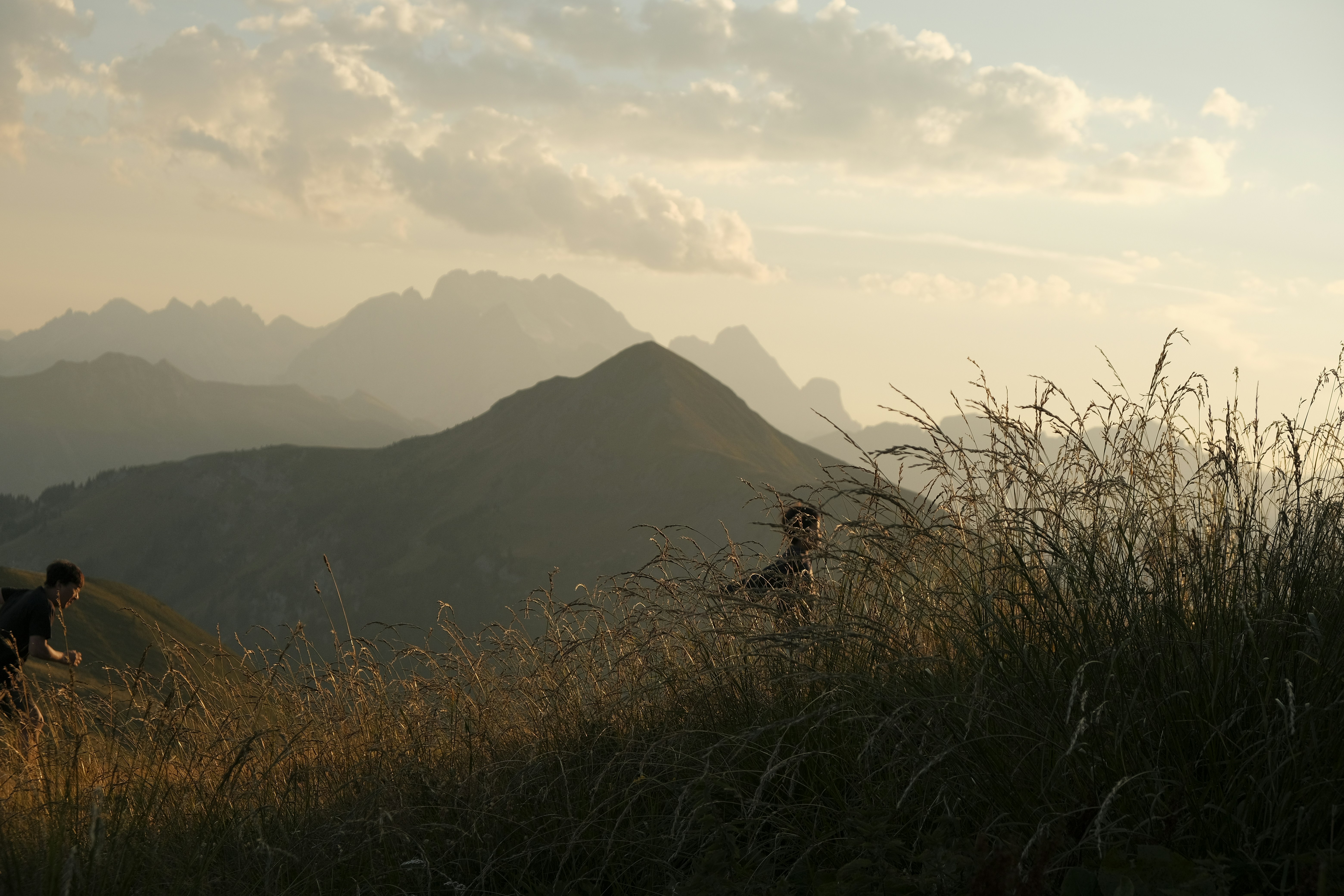 Dawn in the Ember Grass: Ridge Line silhouette against a layered mountainscape
