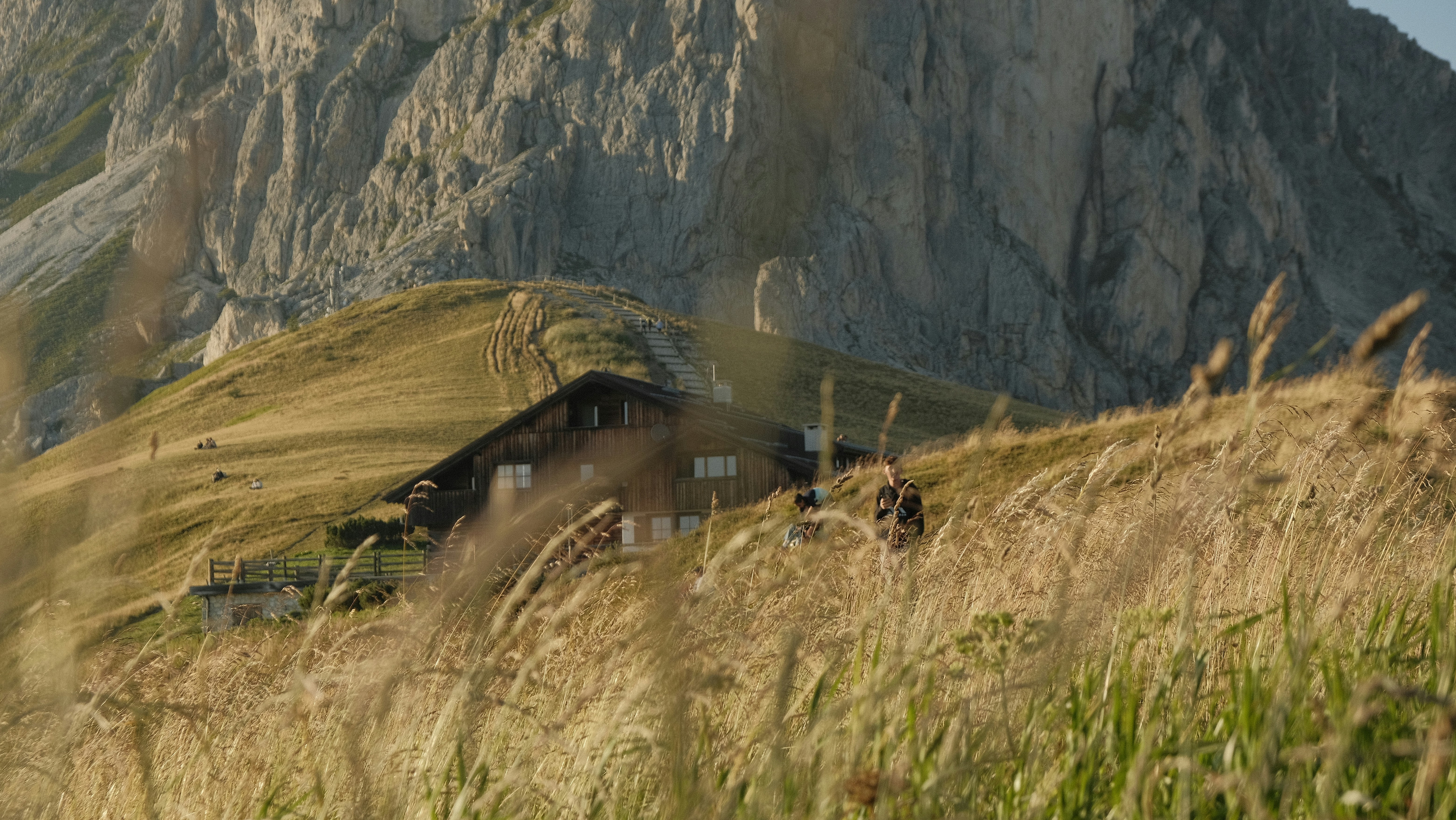 Alpine Refuge Nestled Among Windswept Grasses