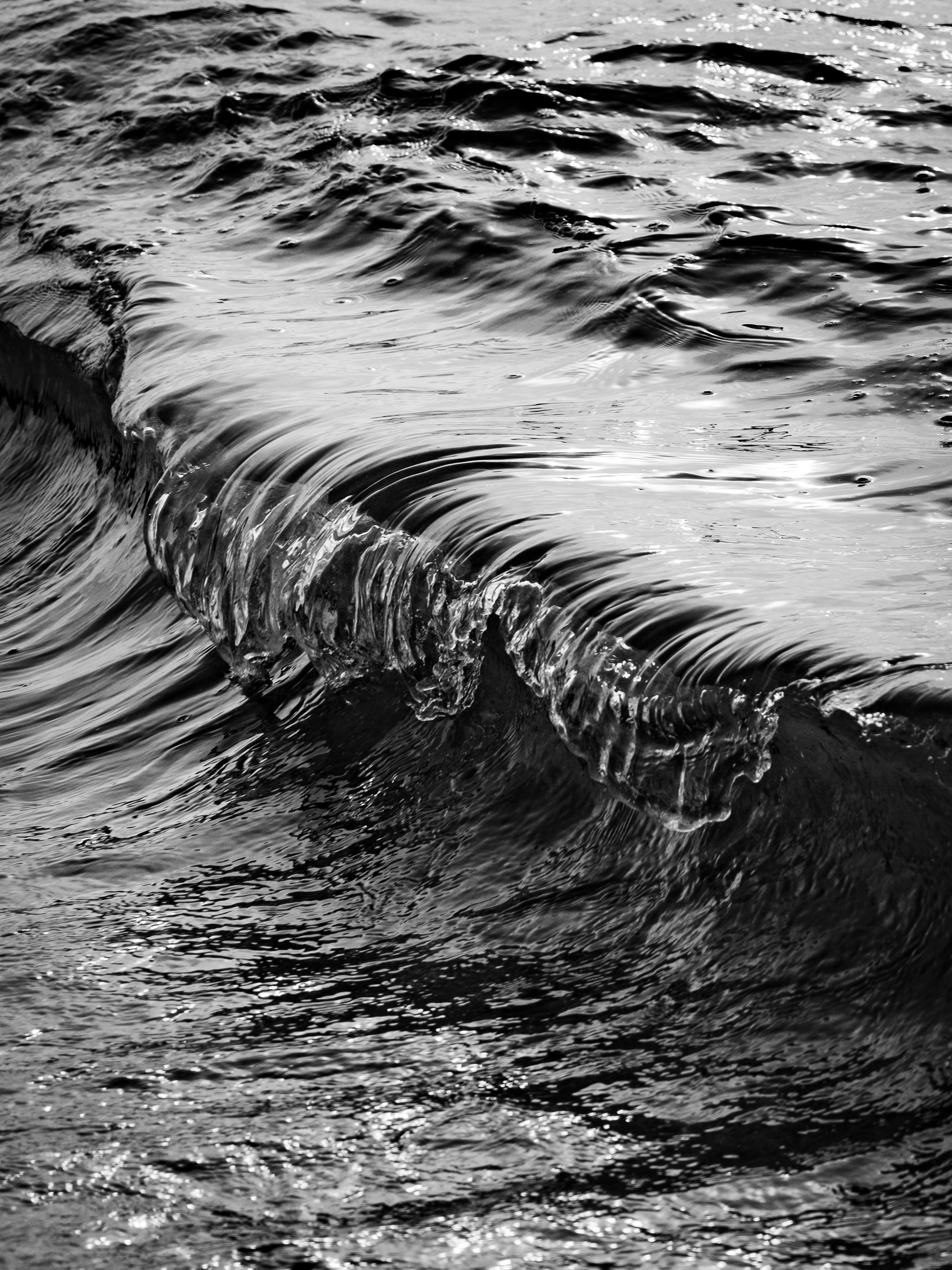 Close-up black-and-white of a curling ocean wave, capturing the texture and motion of the crest as it folds over itself. Standalone wave forms and ripples emphasized as the focal subject, with a sculptural quality to the water surface.