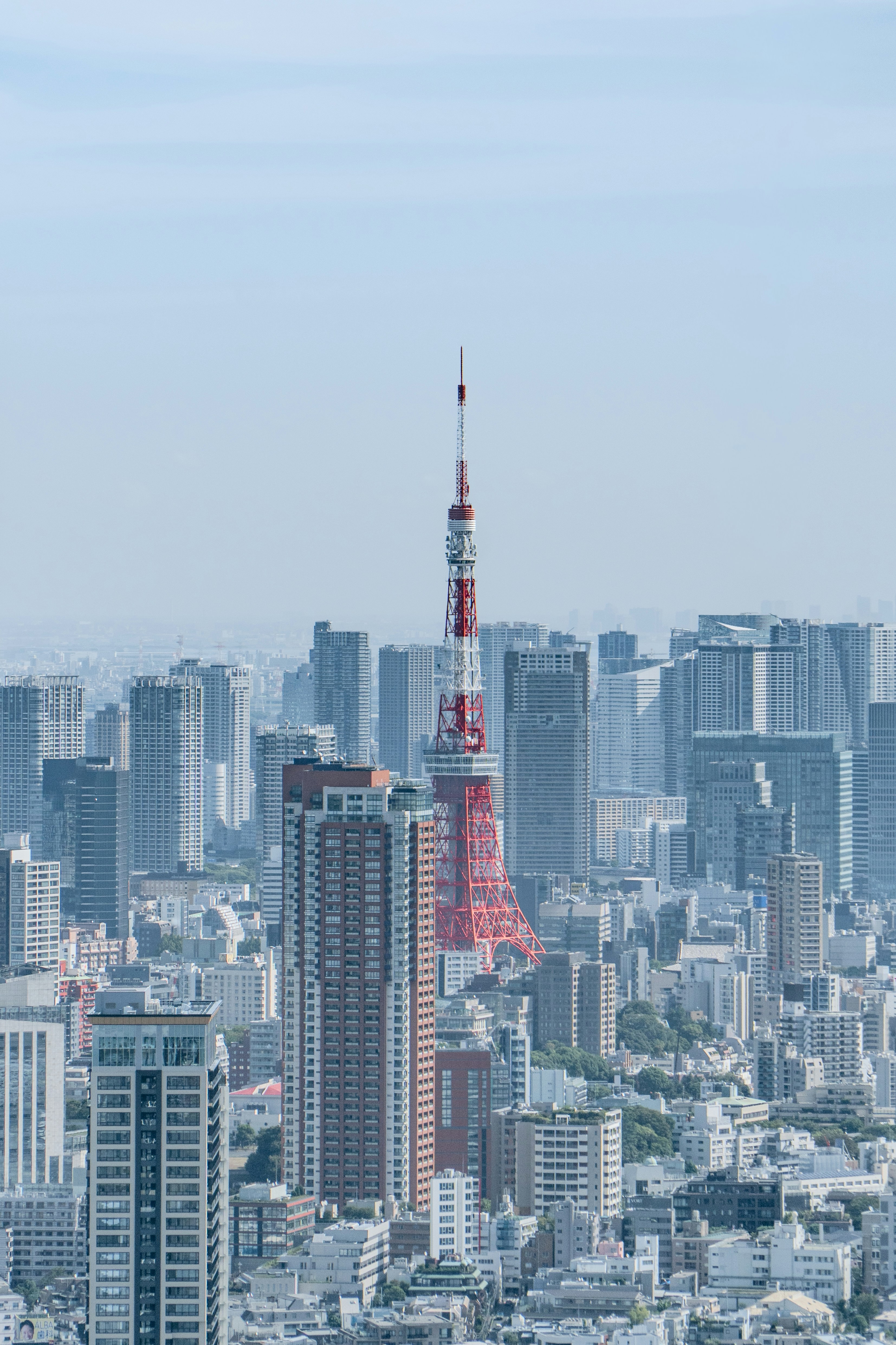 Tokyo’s Red Mast Rising Above a Quiet Sea of Glassy Skyscrapers