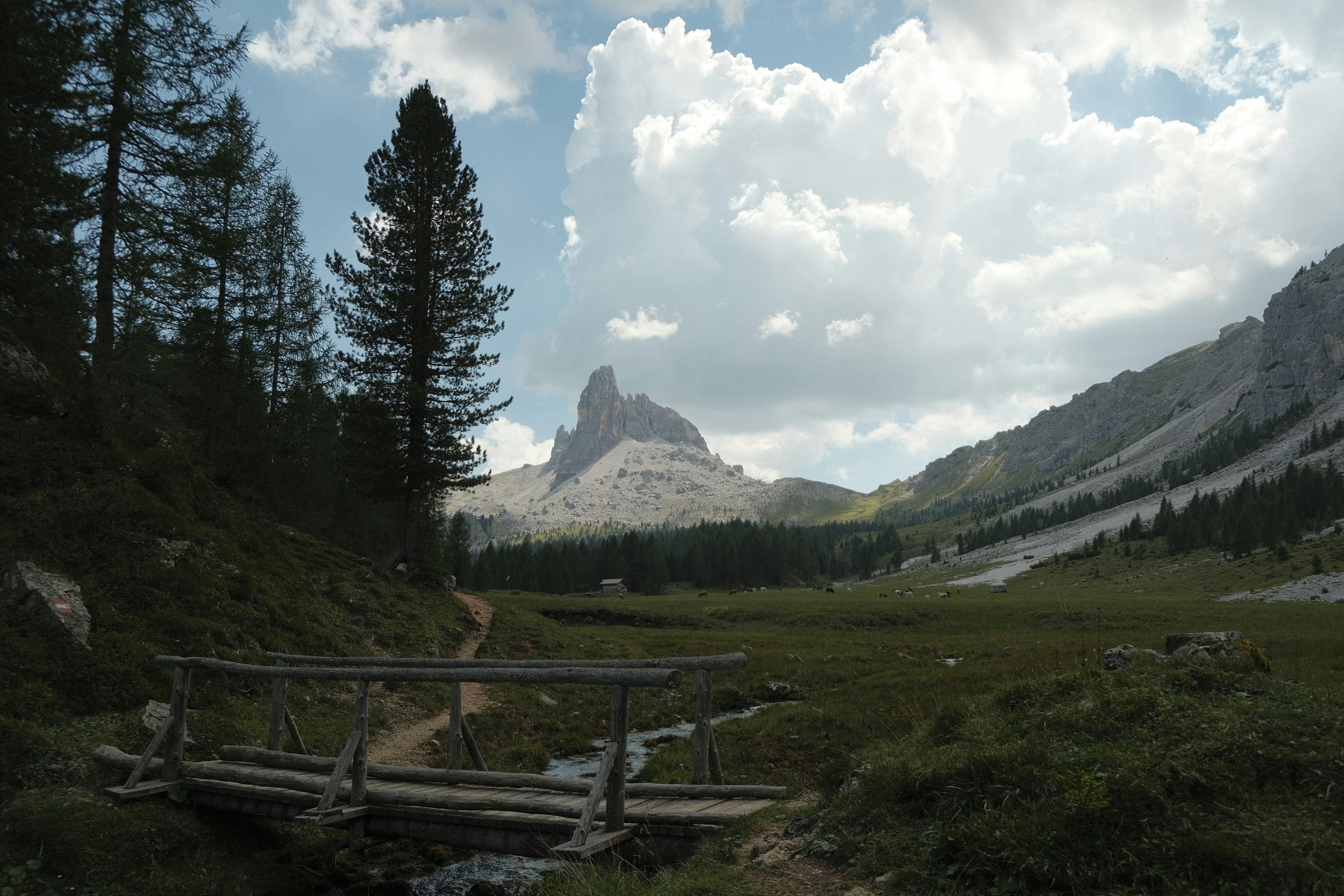 Distant Peak Beyond a Timbered Creek