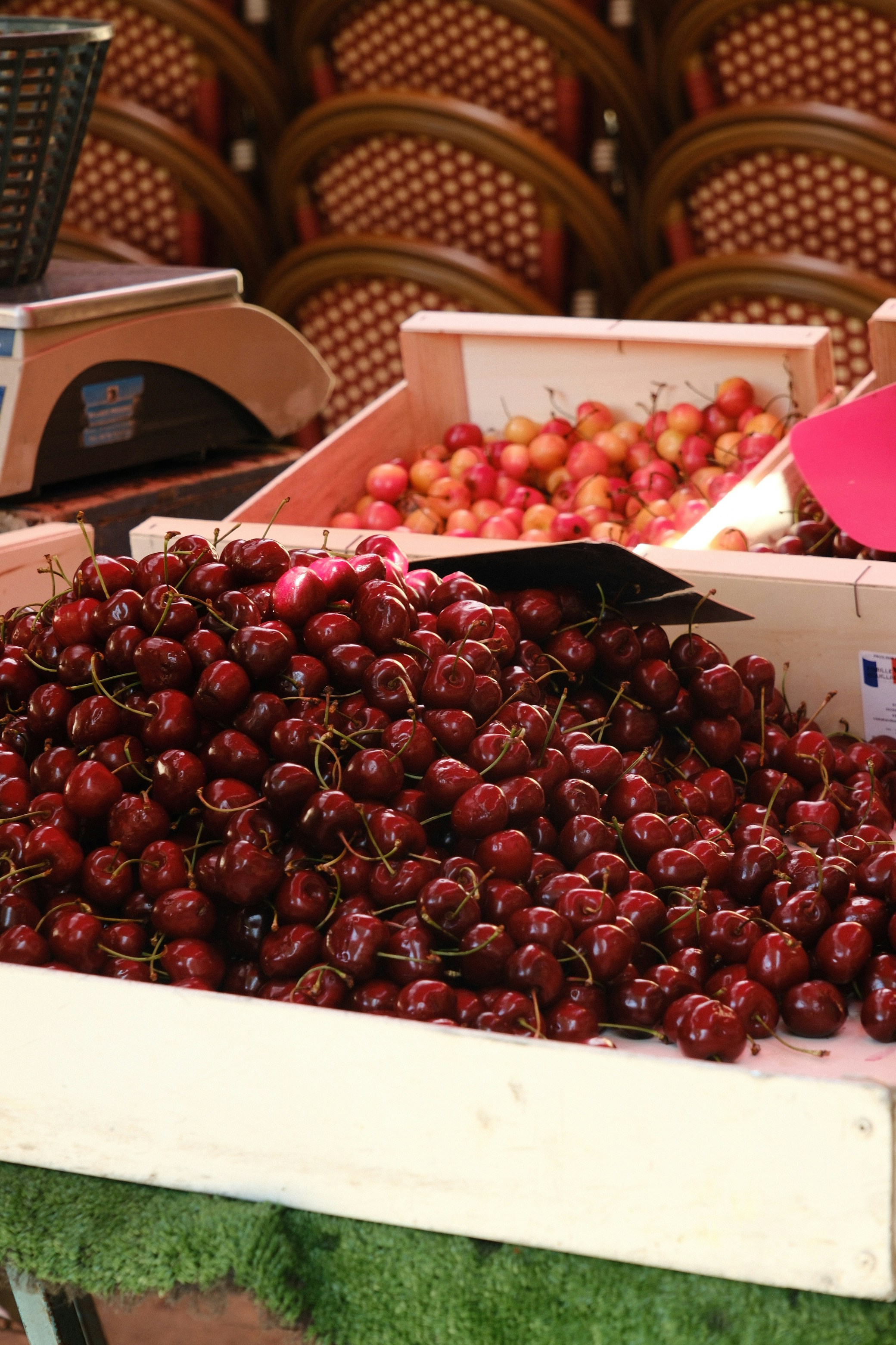 Cascading Cherries at Market Light