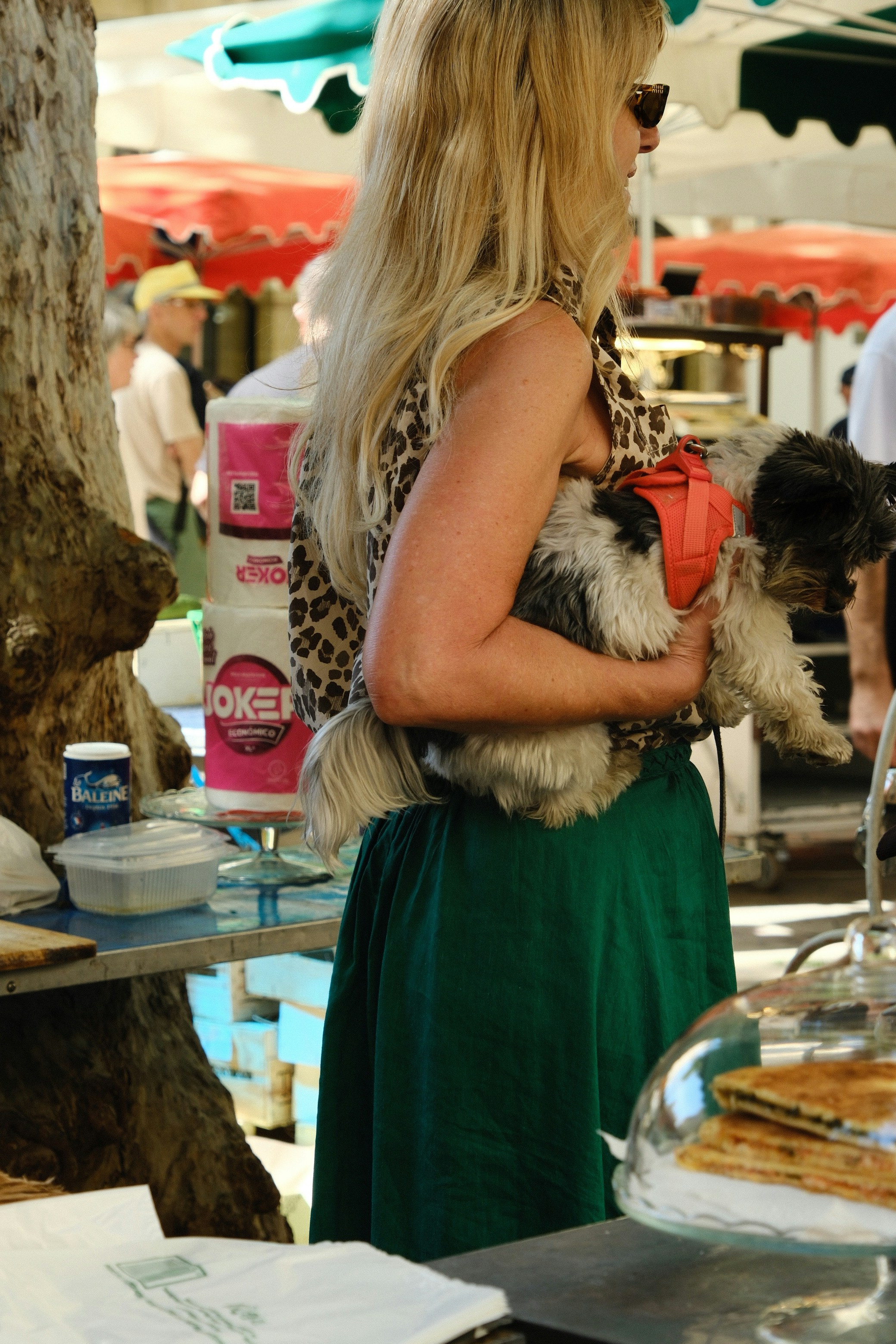 Sunlit Shared Moment: Woman with a Fluffy Dog at a Market Stand