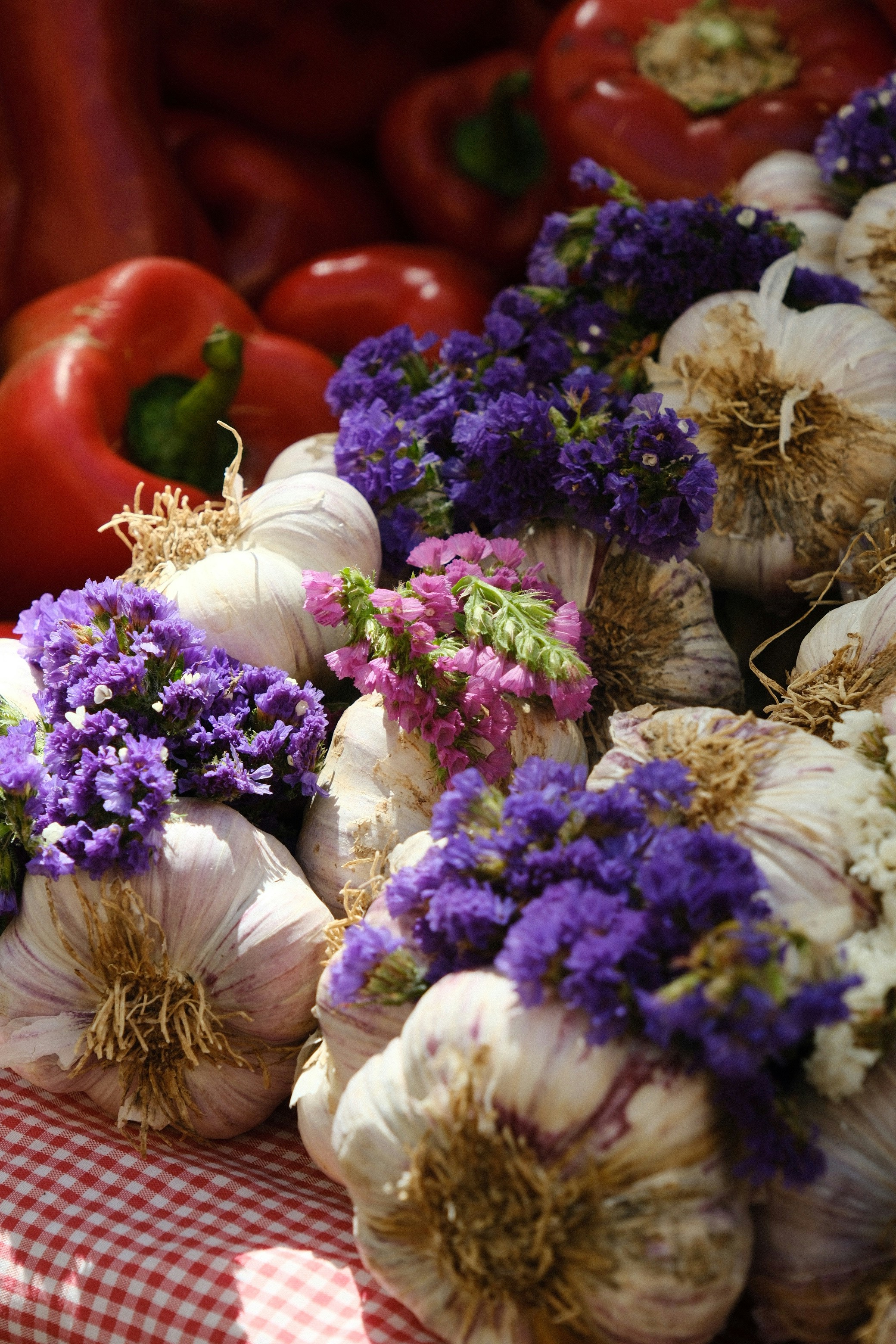 Garland of Garlic: Purple blossoms Nestled Among Red Bell peppers