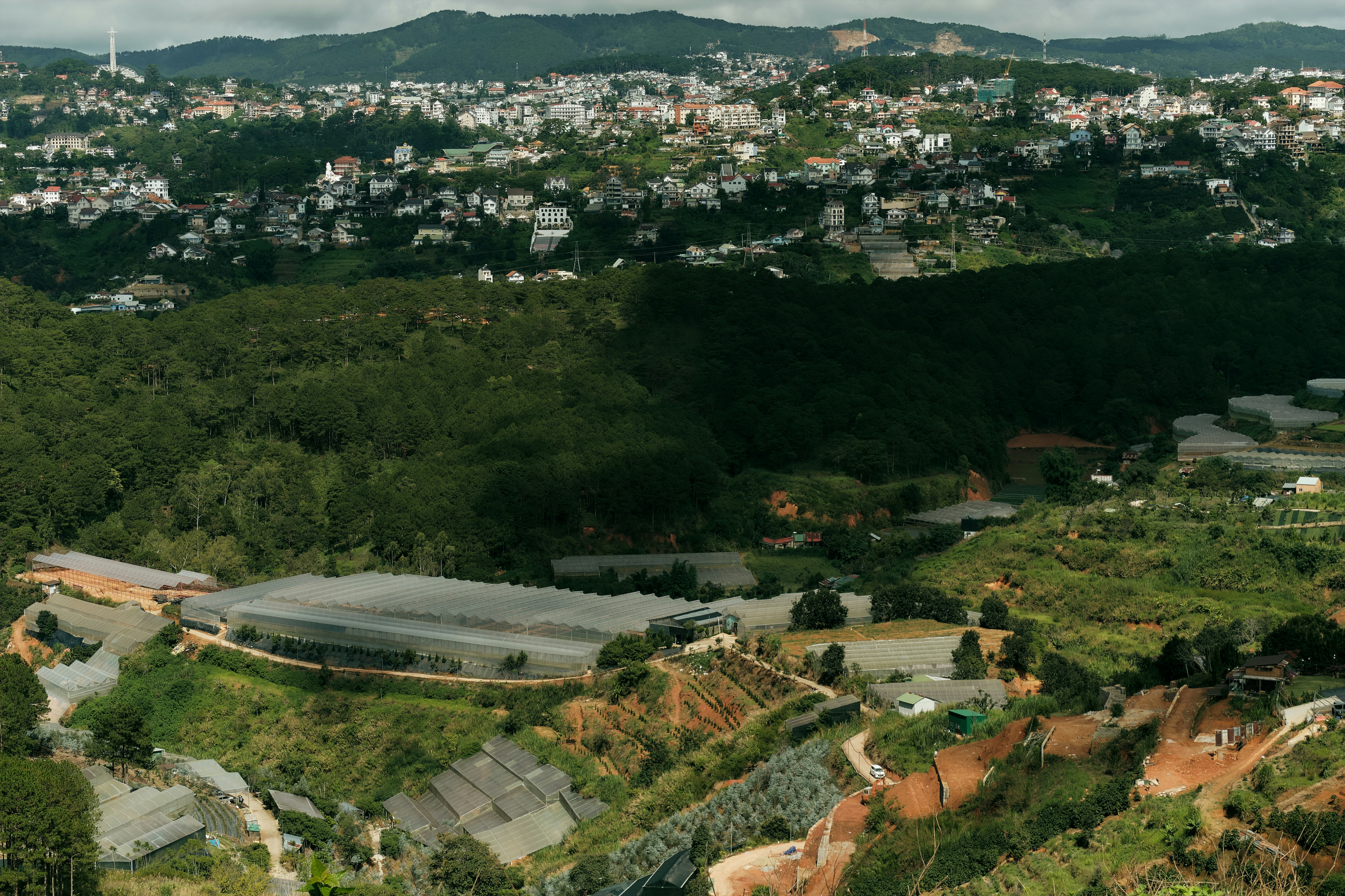 Terraced Hillside Oasis: A Panoramic View Across a Suburban Valley