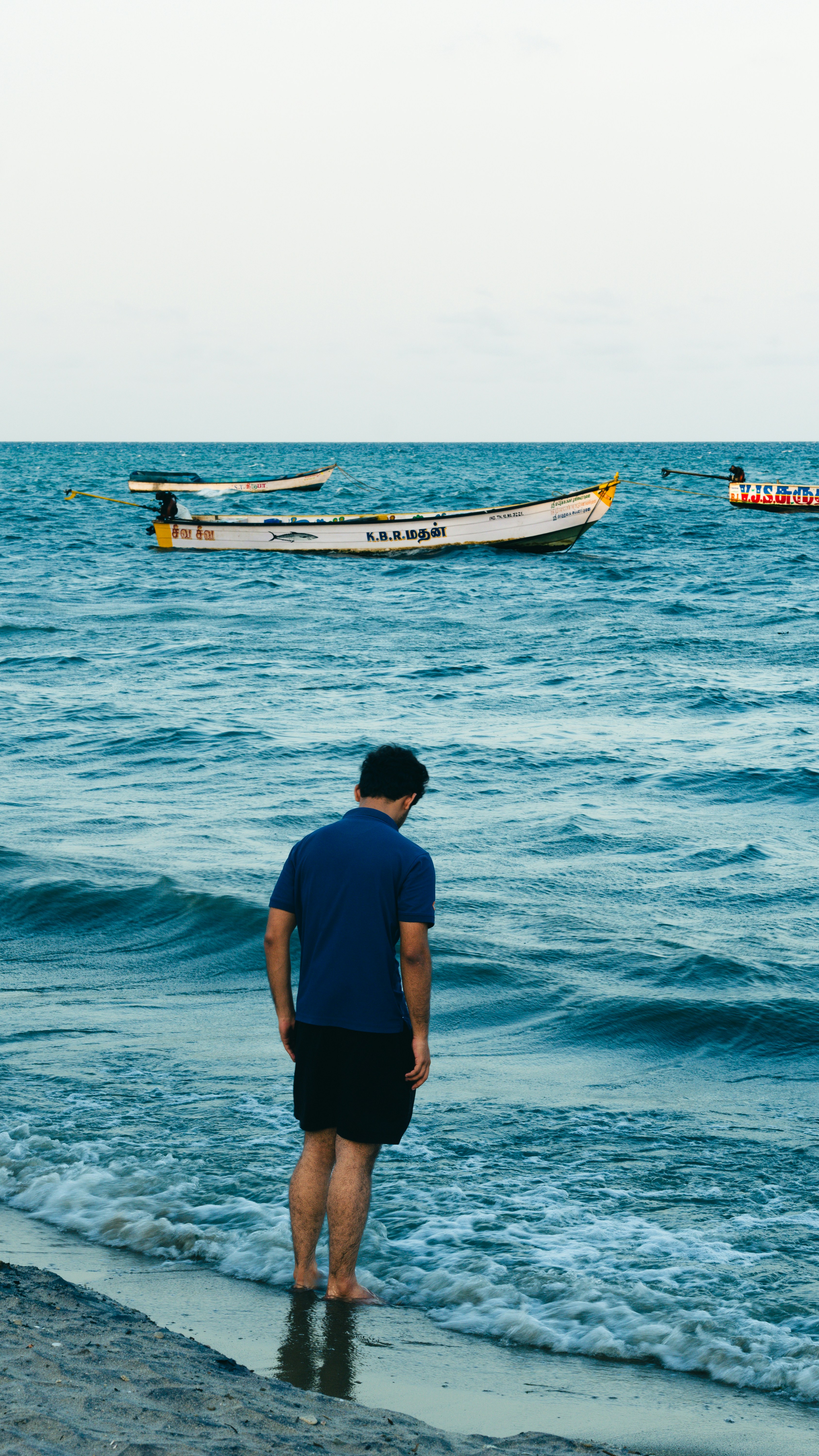Solitary Wanderer at the Tidal Line